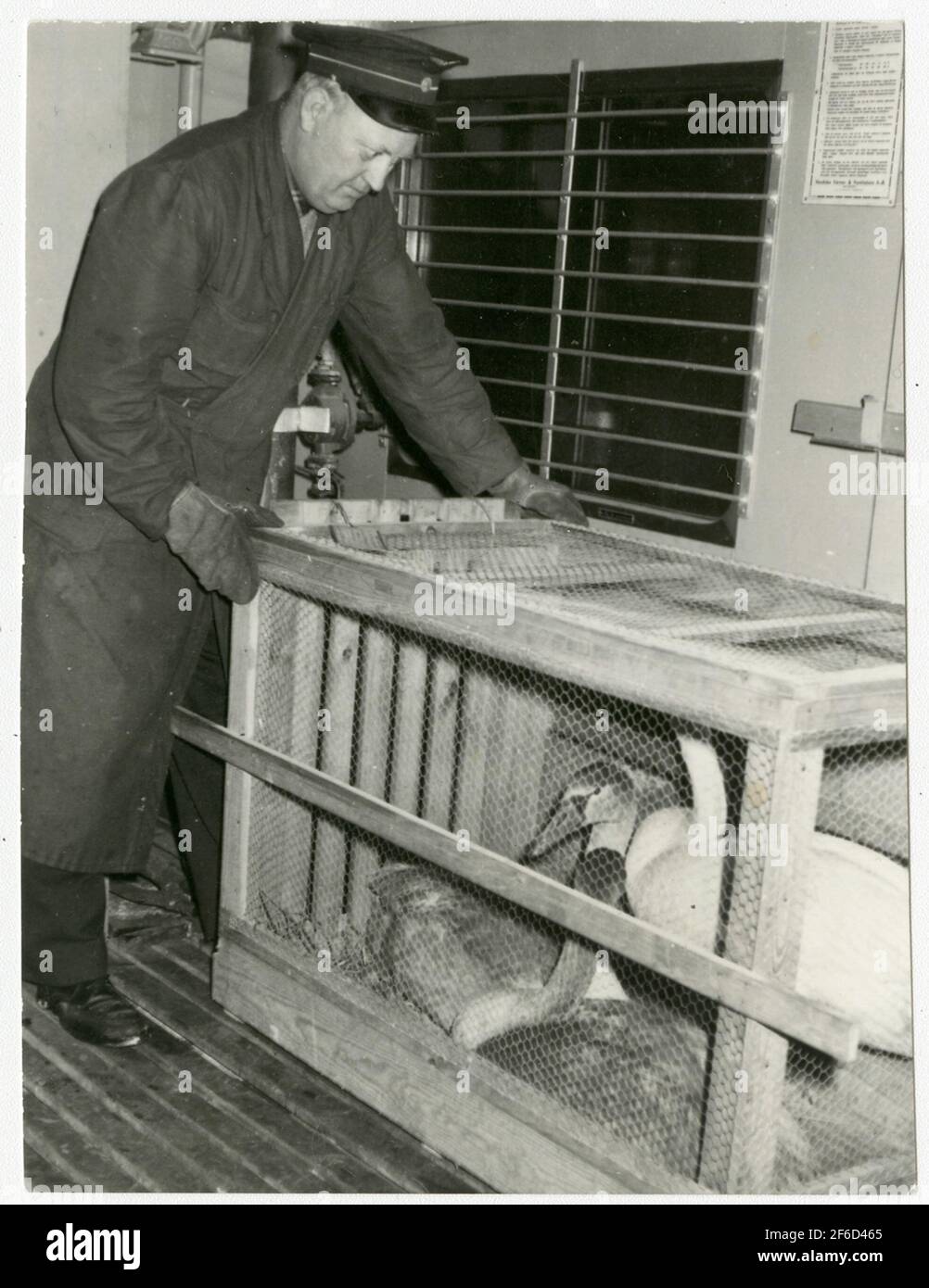 Cage for transporting birds at freight department in Eskilstuna Stock ...