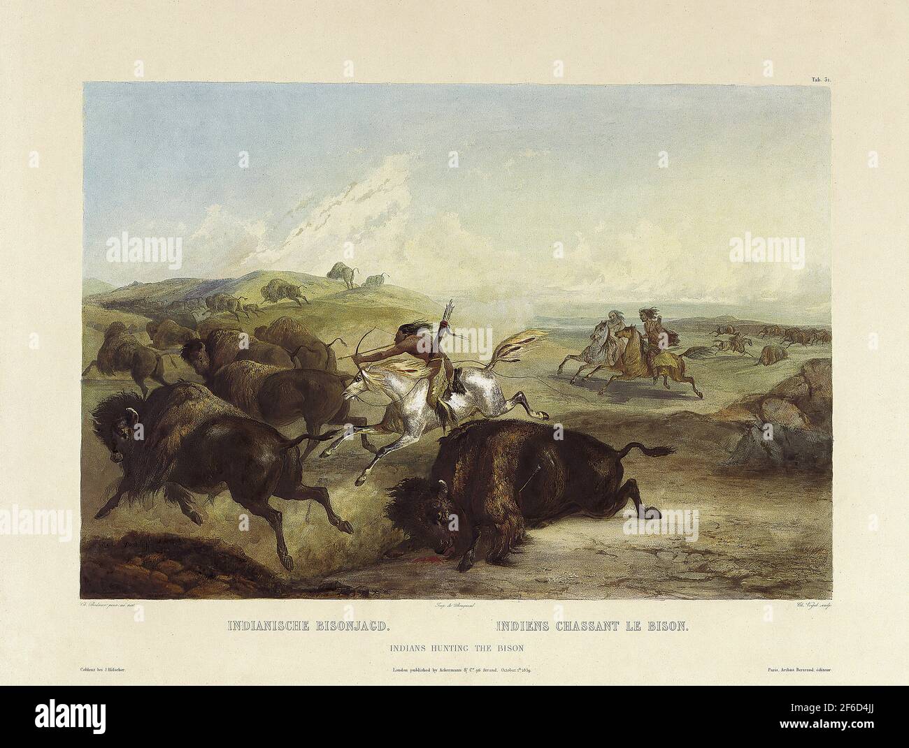 Karl Bodmer - Indians Hunting Bison Plate 31 Volume 2 Travels Interior ...