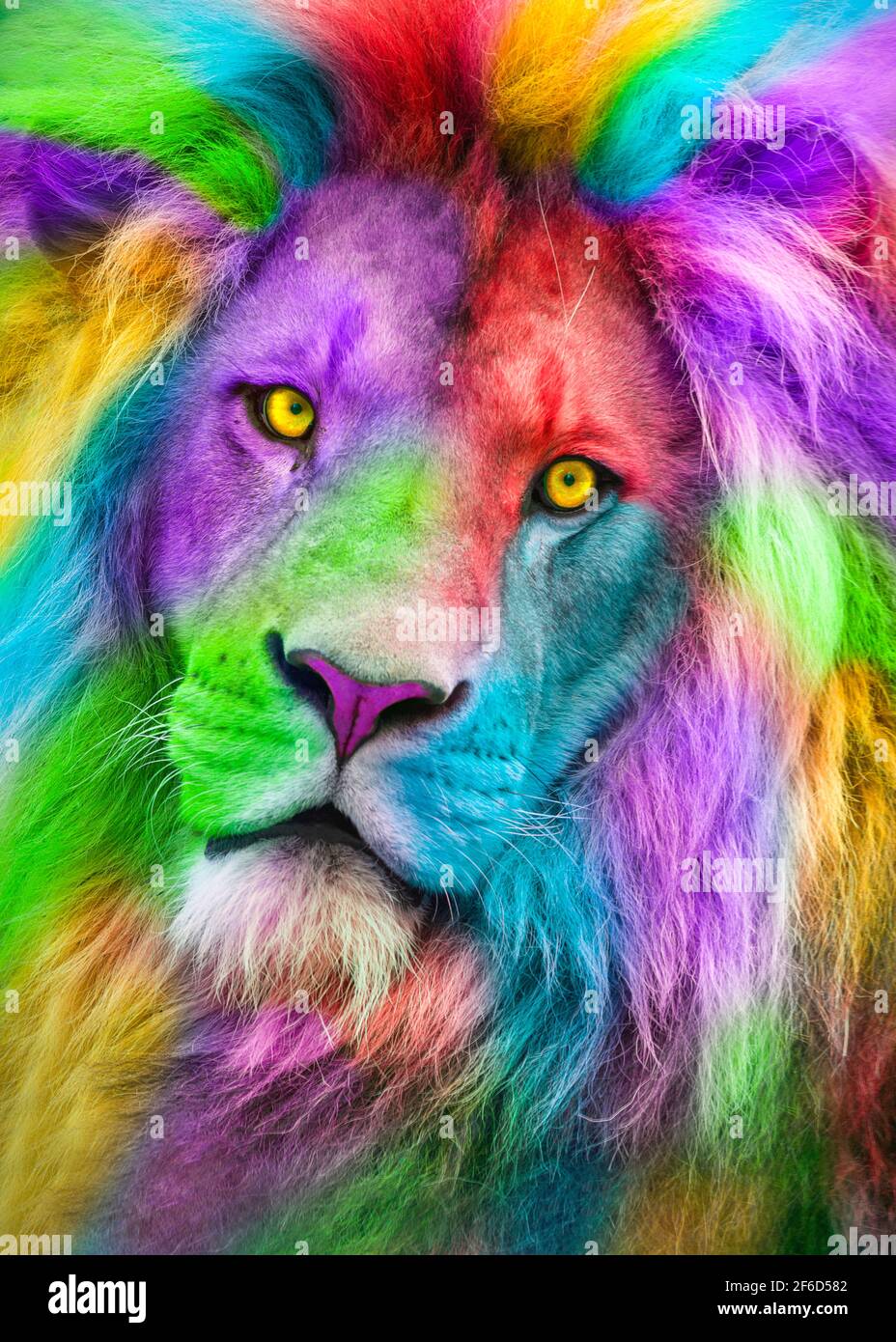 Rainbow Lion Wallpaper Lion In A Colorful Light HD Wallpaper 4K Free