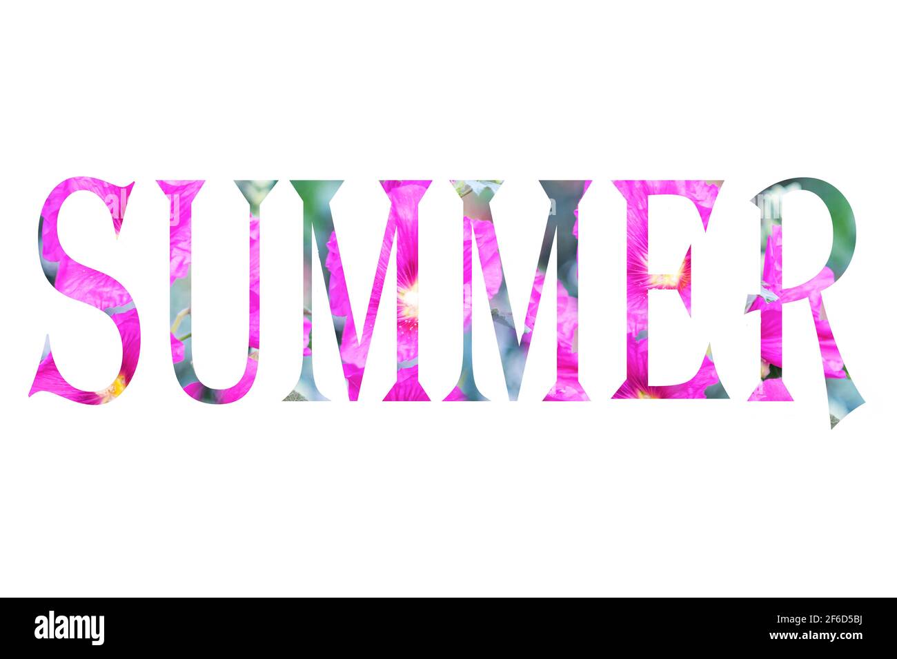 Word summer made of pink flowers isolated on white Stock Photo - Alamy