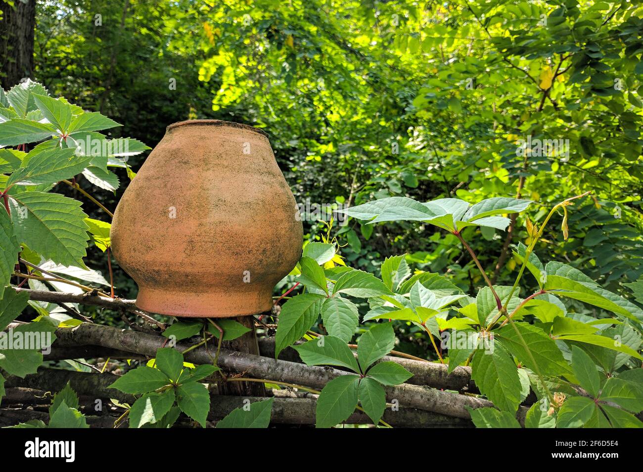 Ukrainian authenticity. Clay pot on wicker fence. Rural Ukrainian ...