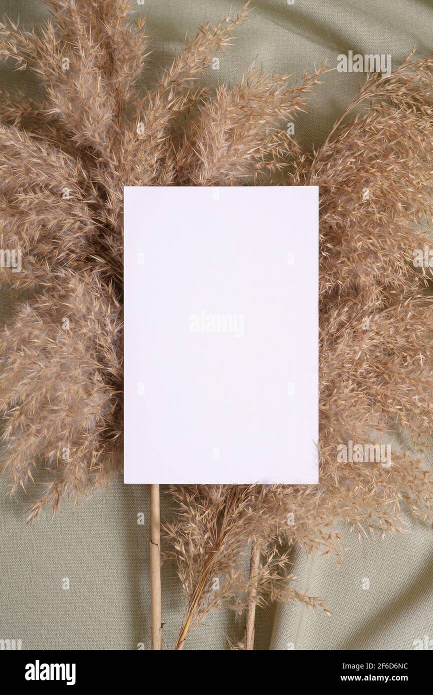 White blank paper card mockup with pampas dry grass on a green neutral ...