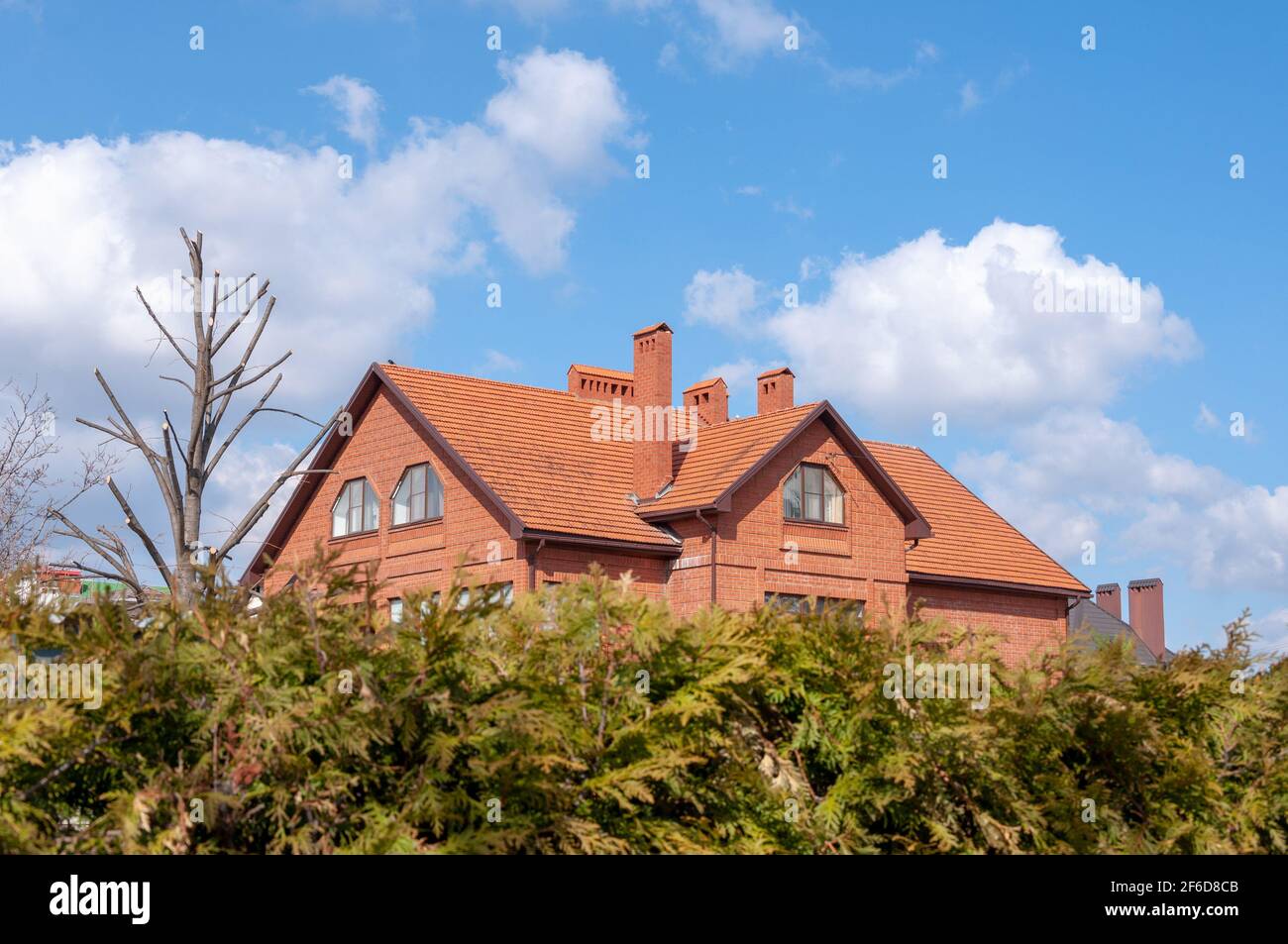 Green Hedge Row High Resolution Stock Photography and Images - Alamy