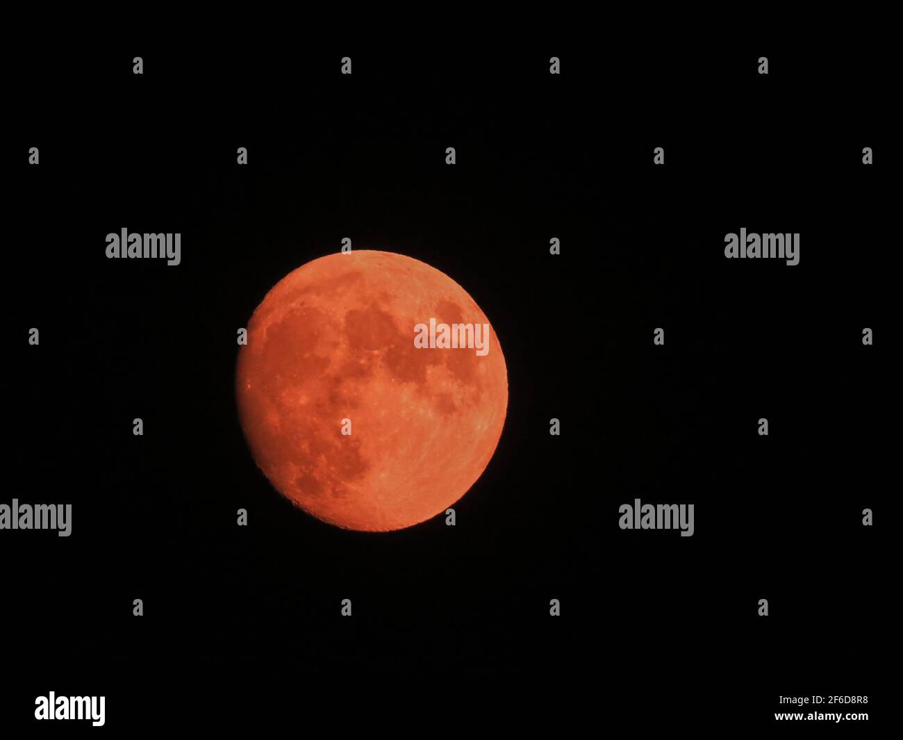 Full Red Moon in near plan Stock Photo - Alamy
