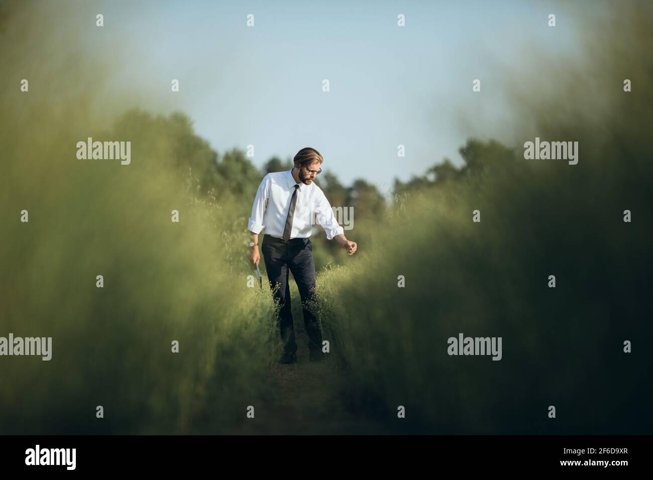 Agronomist monitoring hi-res stock photography and images - Alamy