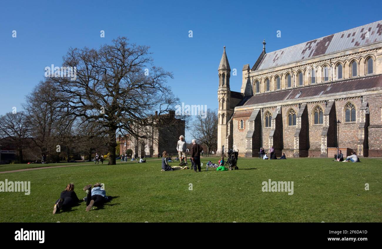 St. Albans Abbey also known as St. Albans Cathedral Hertfordshire UK ...