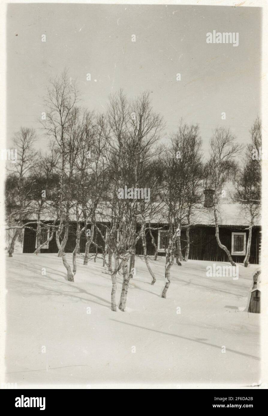 Motif from Storlien Stock Photo - Alamy