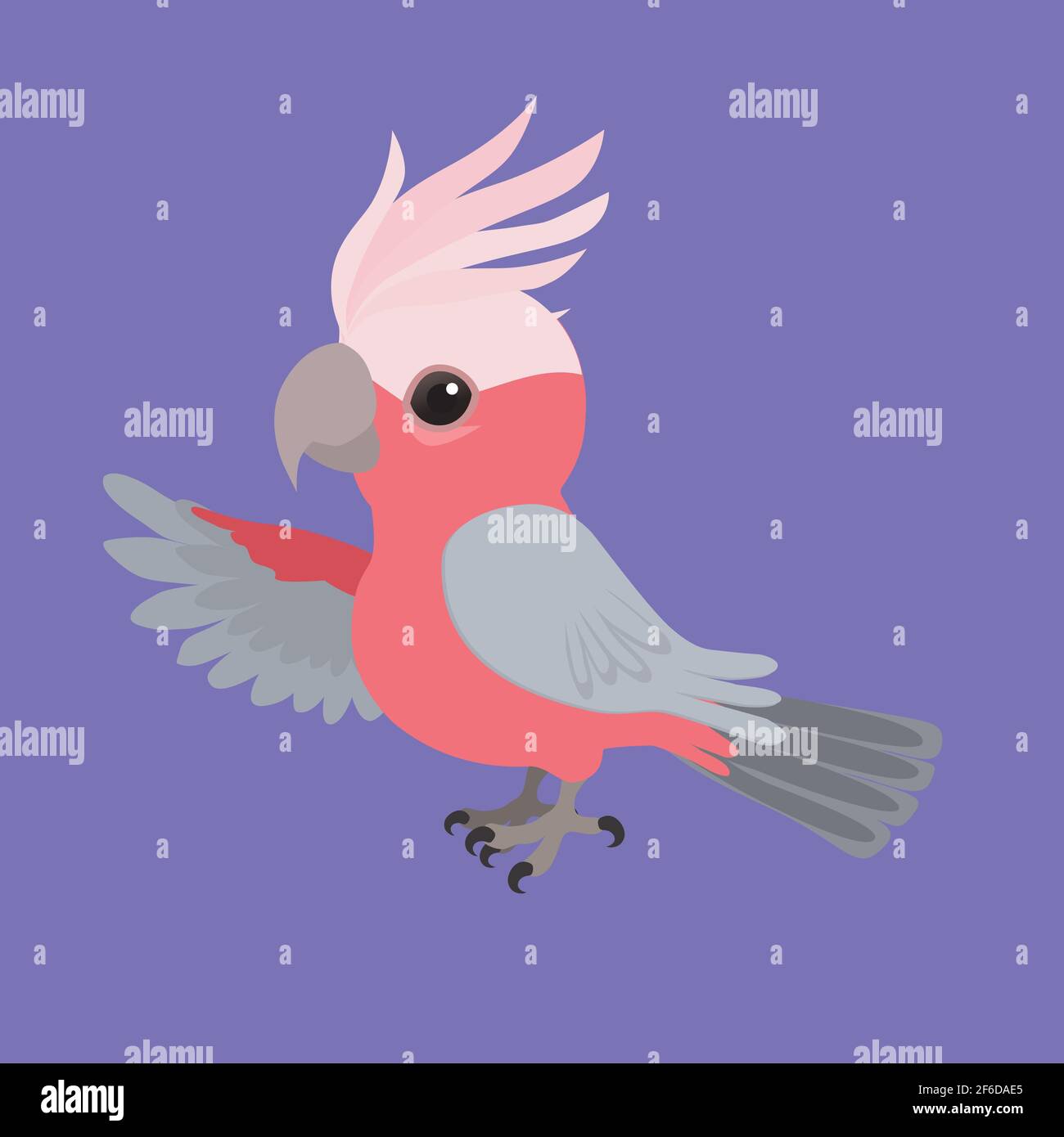 Big galah Stock Vector Images - Alamy