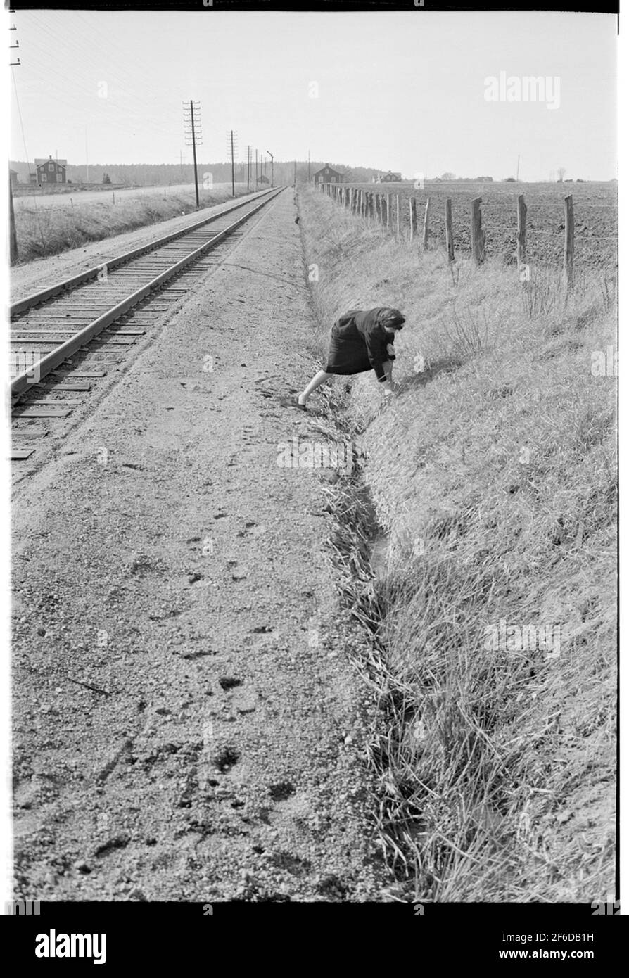 Woman picks Black and White Stock Photos & Images - Alamy