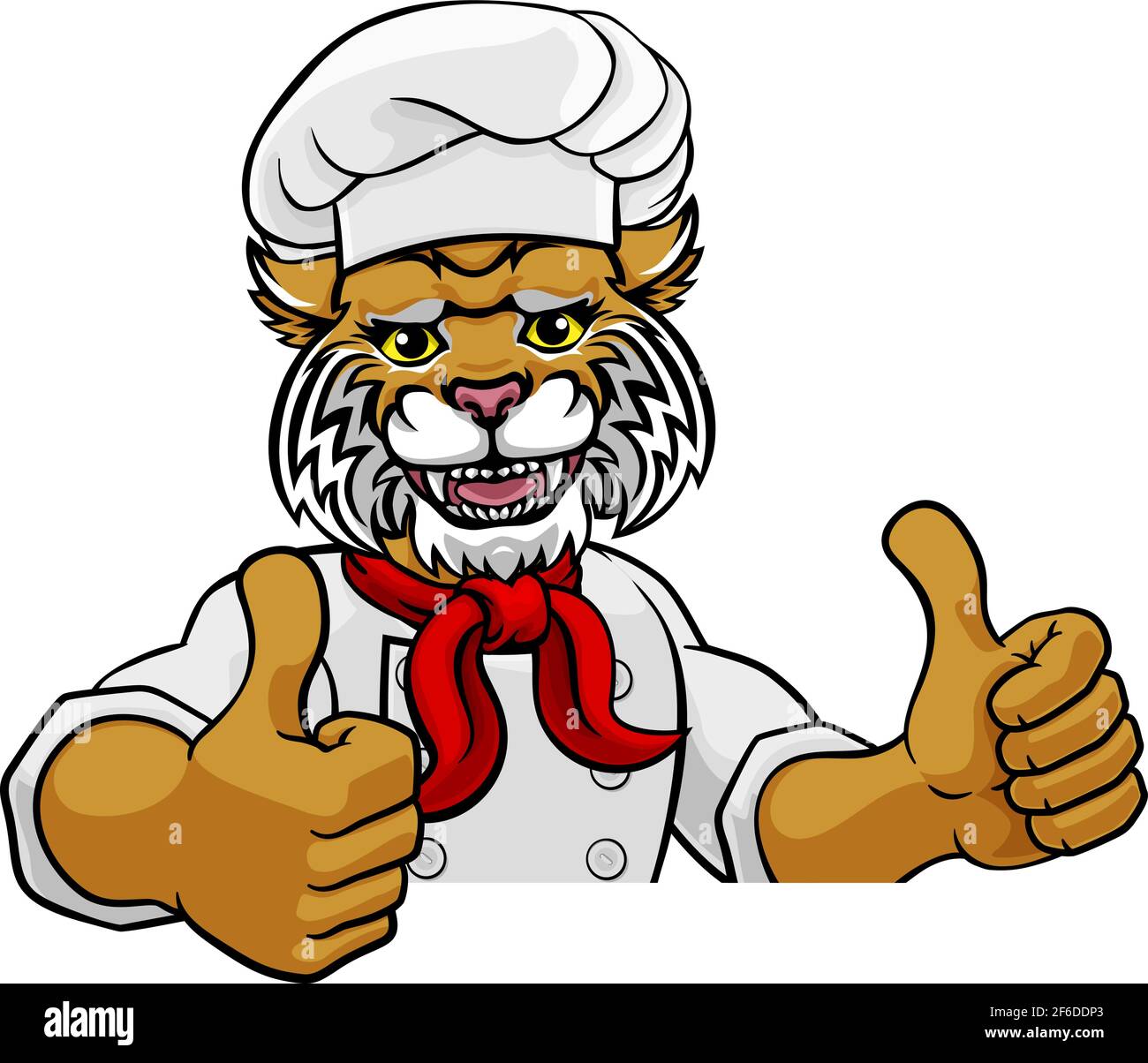 Wildcat Chef Mascot Sign Cartoon Character Stock Vector Image & Art - Alamy