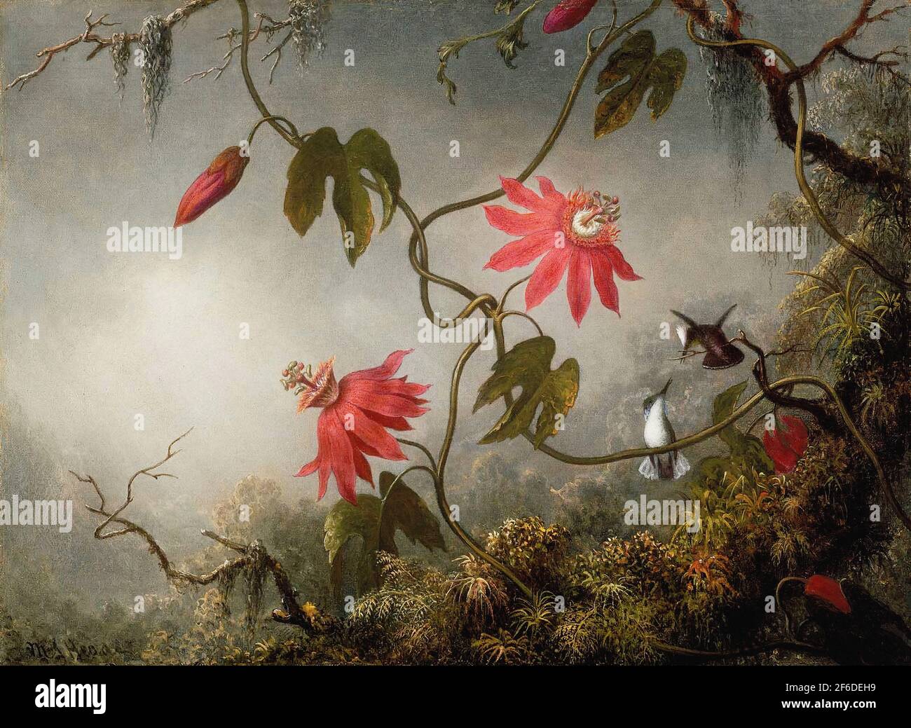 Martin Johnson Heade - Passion Flowers with Hummingbirds 1883 Stock ...