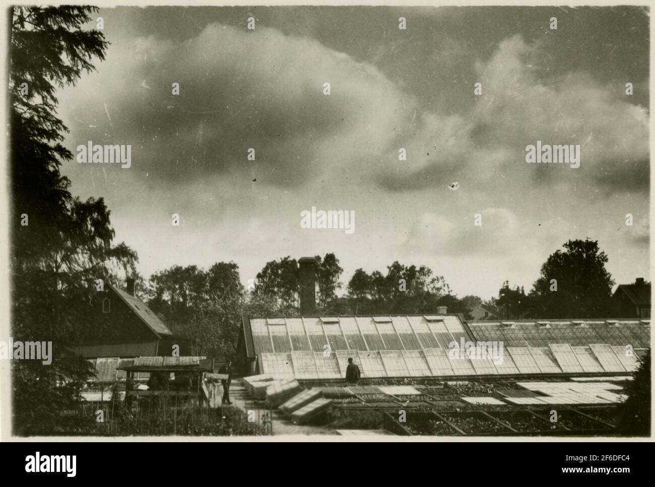 Hässleholms plant depot Stock Photo - Alamy