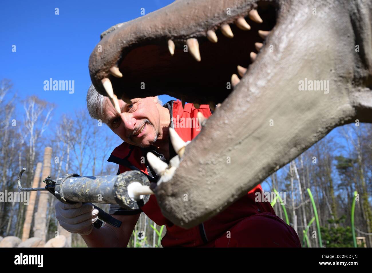Dimetrodon teeth hi-res stock photography and images - Alamy