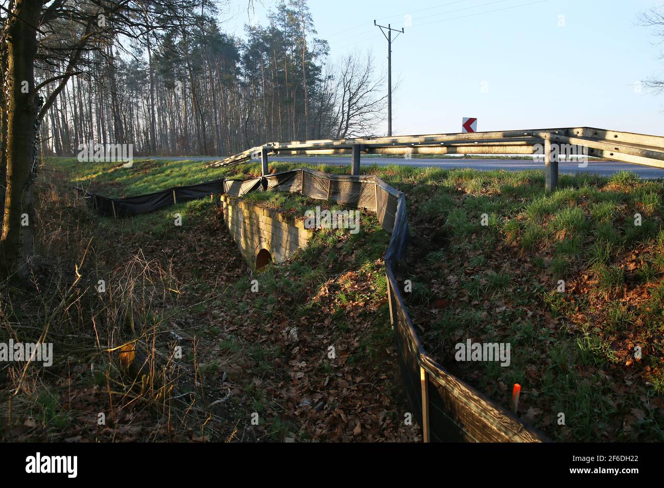 Frog fence hi-res stock photography and images - Alamy