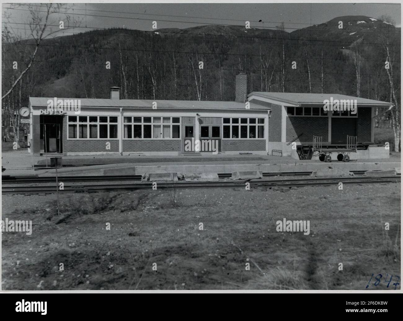 Duved hi-res stock photography and images - Alamy