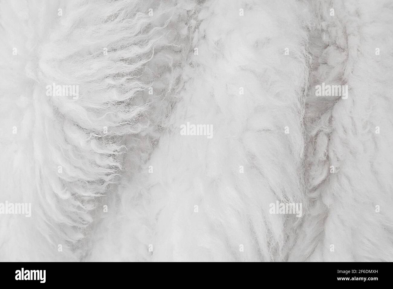 Light furry surface hi-res stock photography and images - Alamy