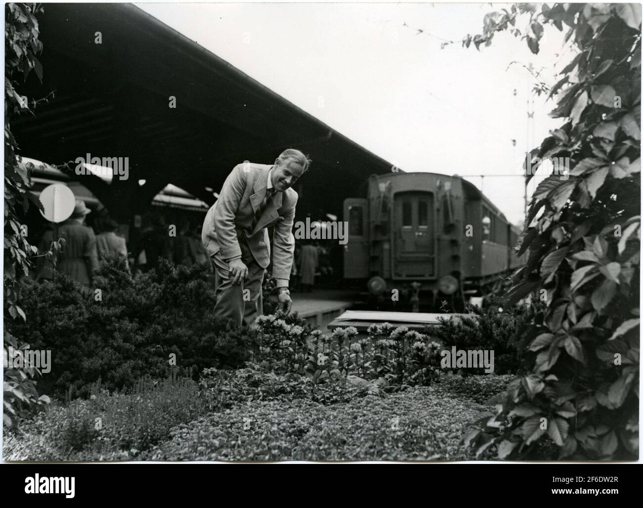 The Garden Director When planting at Stockholm Central Station Stock ...