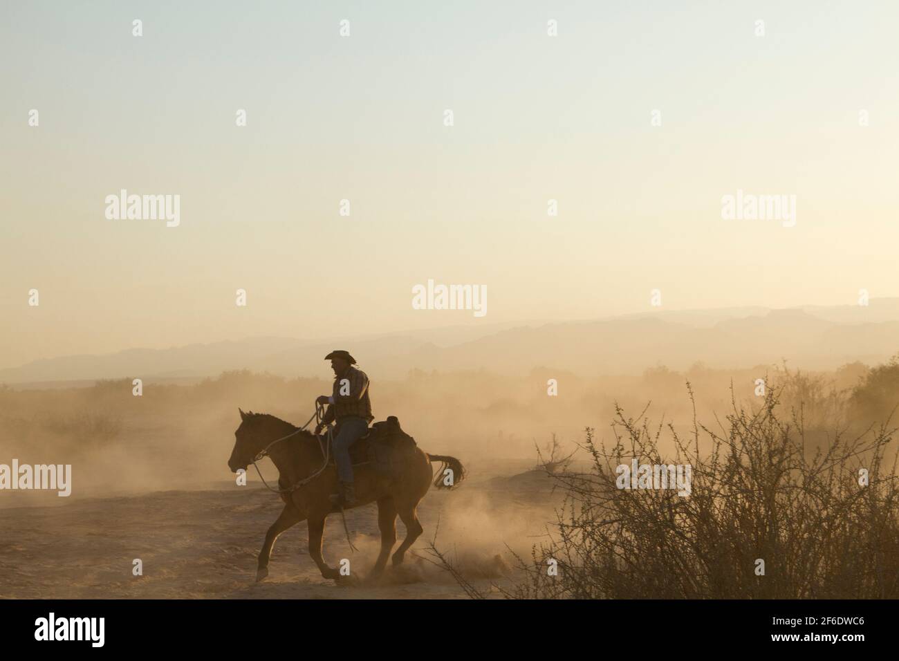 Silhouette at sunset of horse riders in the desert Stock Photo - Alamy
