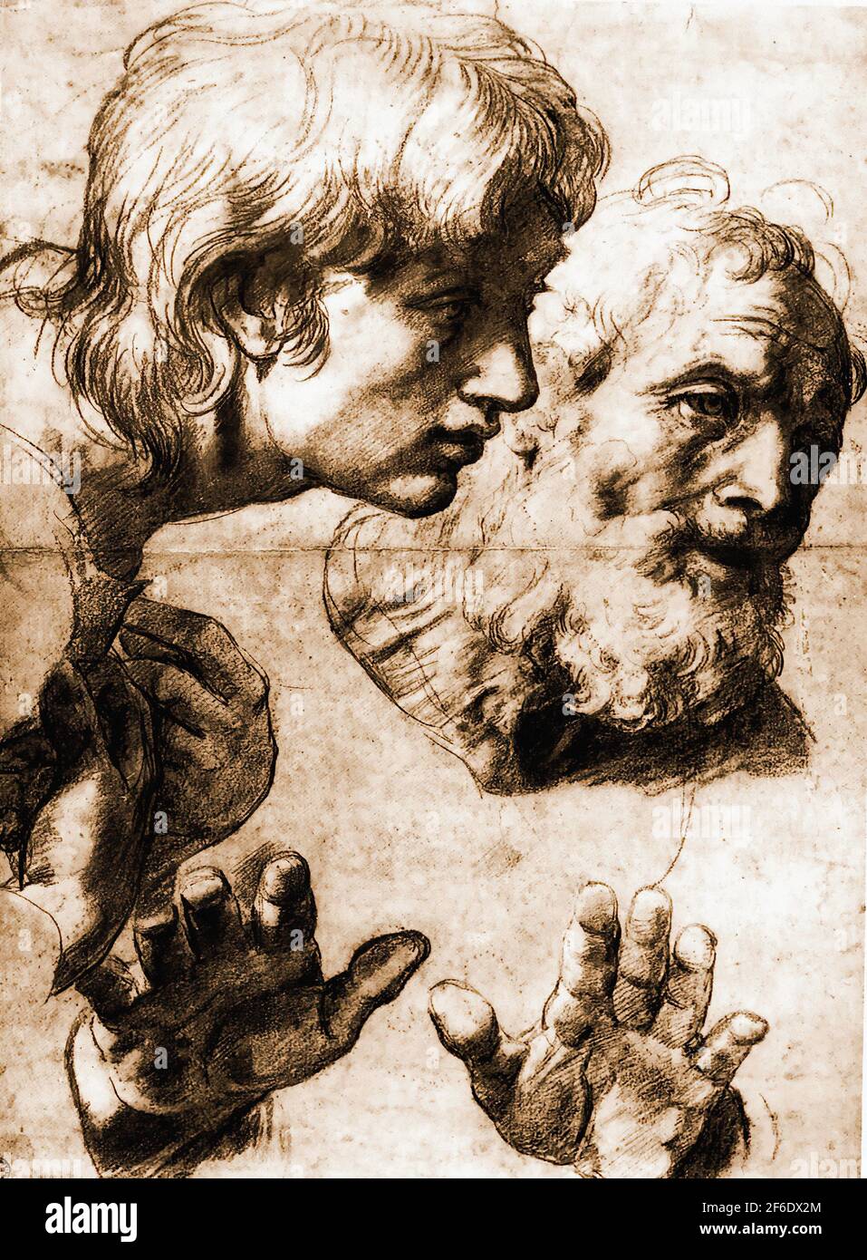 Raffaello Sanzio da Urbino - Raphael - Studies for Transfiguration 15 ...