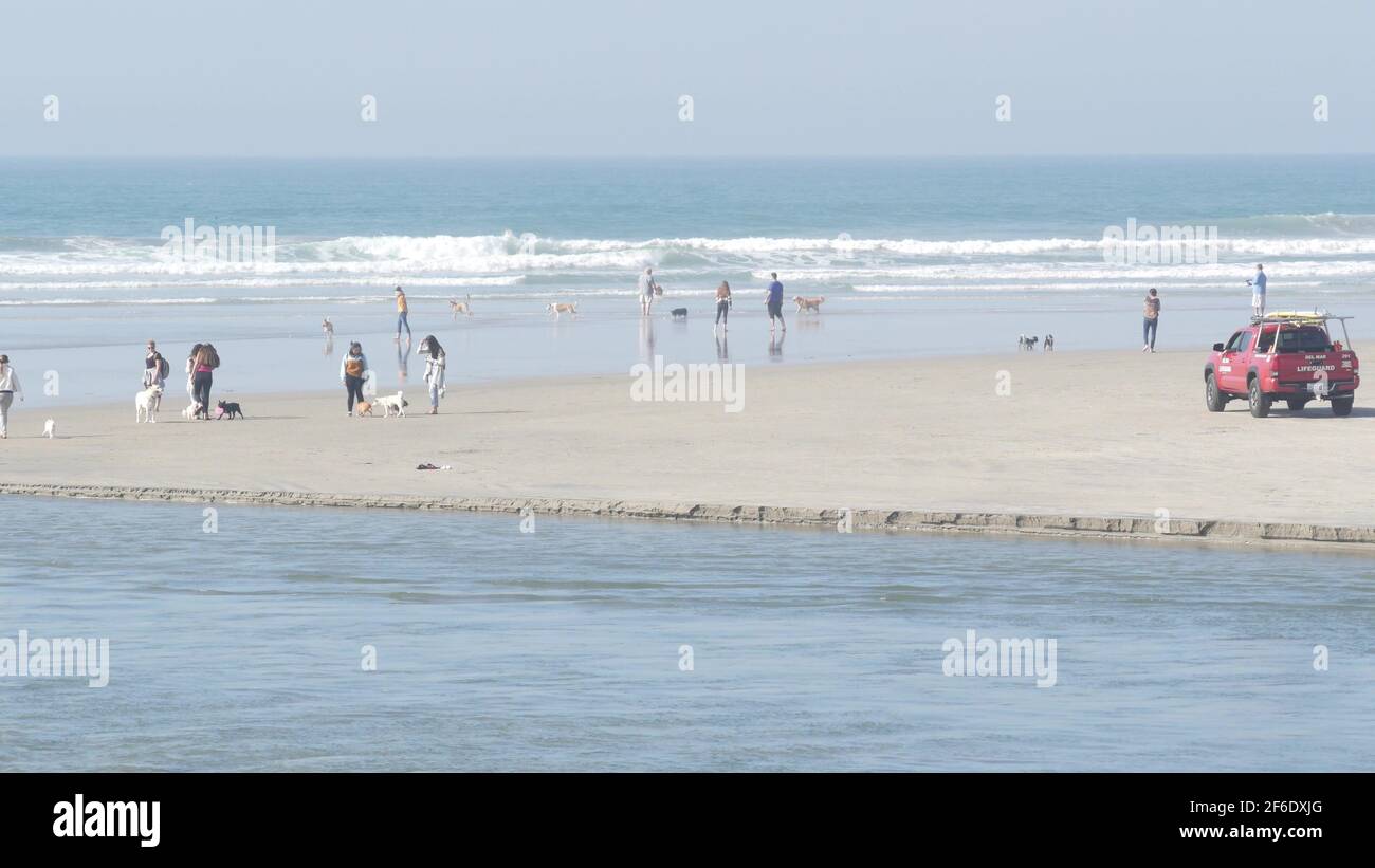 Del mar dog beach hi-res stock photography and images - Alamy