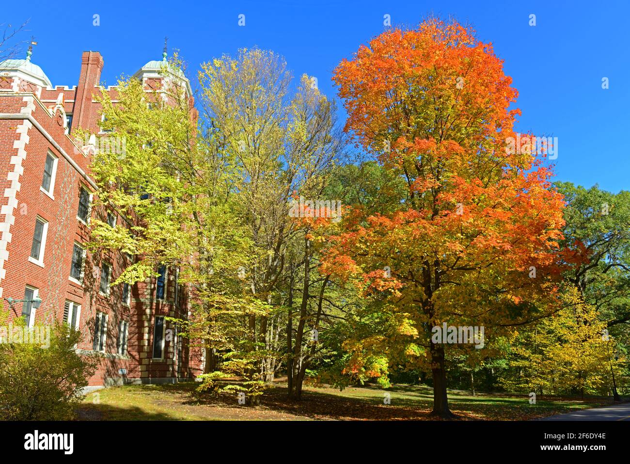 Wellesley college library hi-res stock photography and images - Alamy