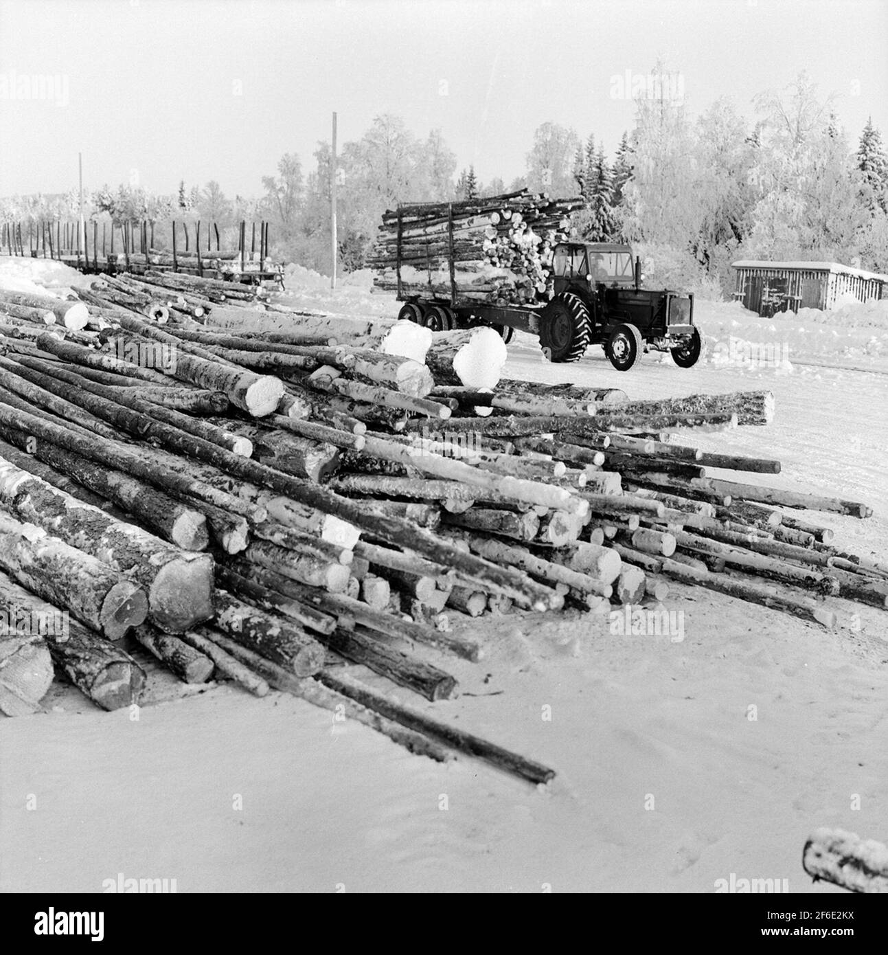 Massaved transport ridges-Sundsvall, SUC Stock Photo - Alamy