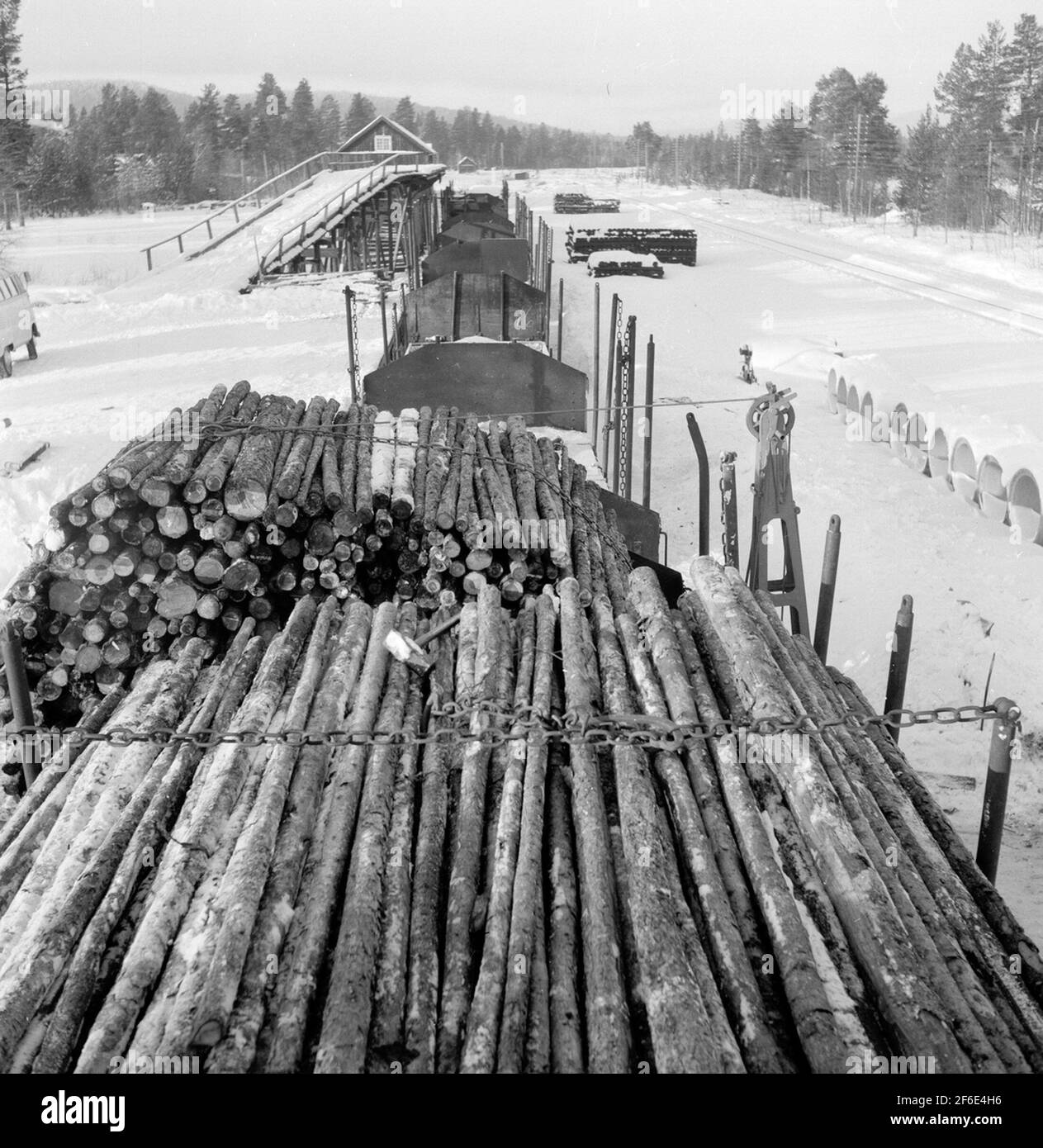 Loading timber from truck to freight wagon with Puller Timber Loader ...
