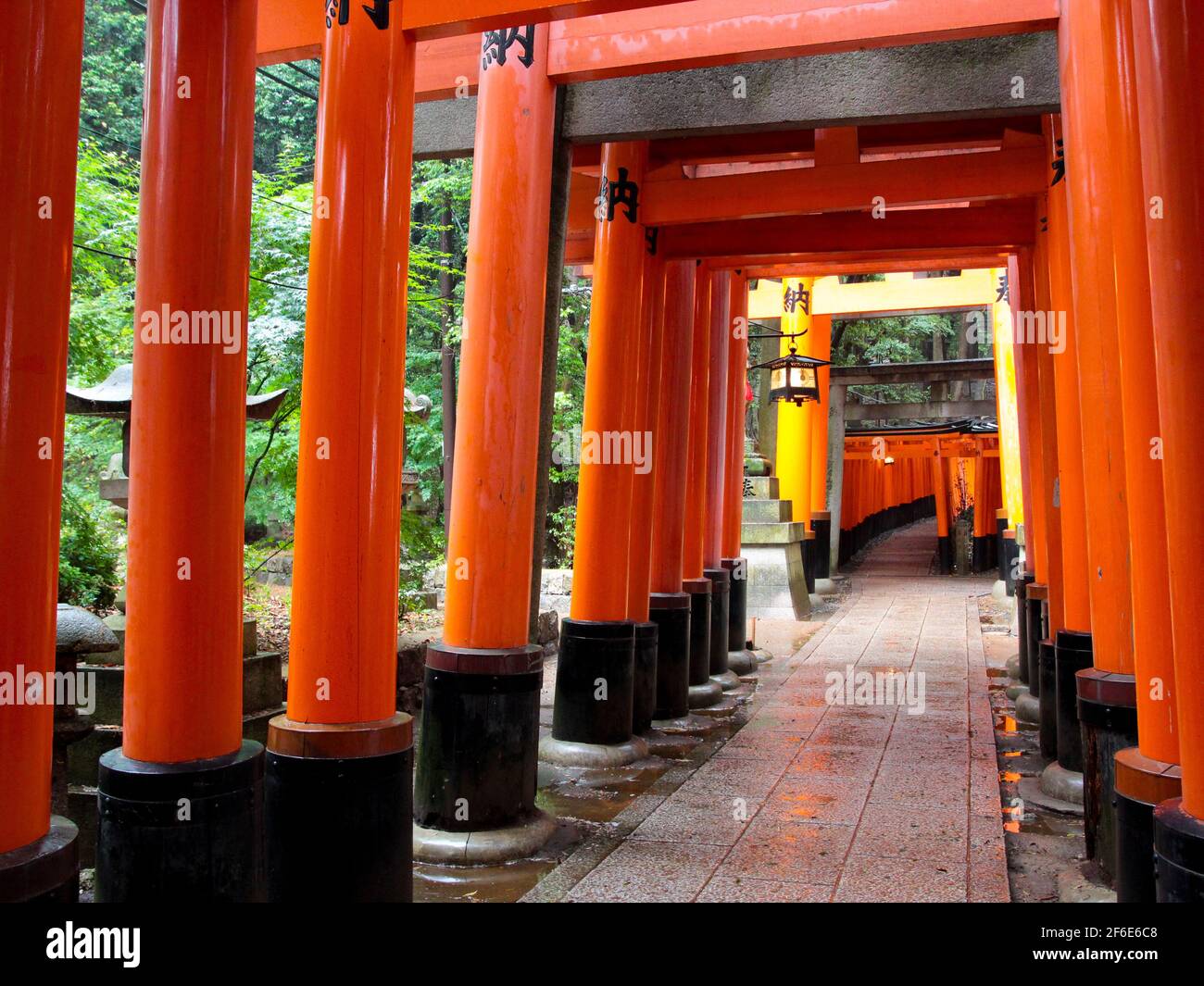 A look through the tunnel of red wood torii gates at Fushimi Inari ...