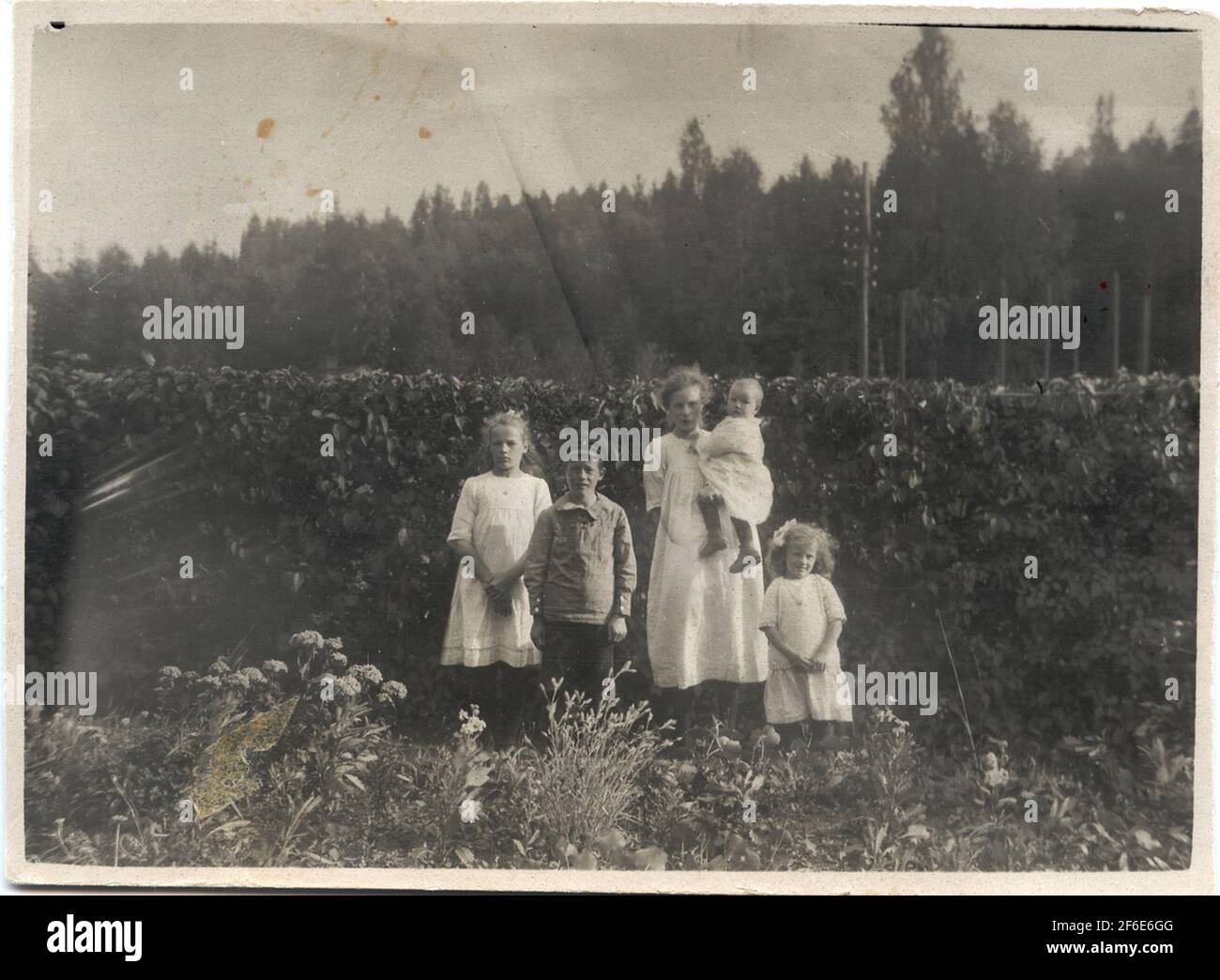 All five children to Per Erik and Tekla Andersson in Långsjön standing ...