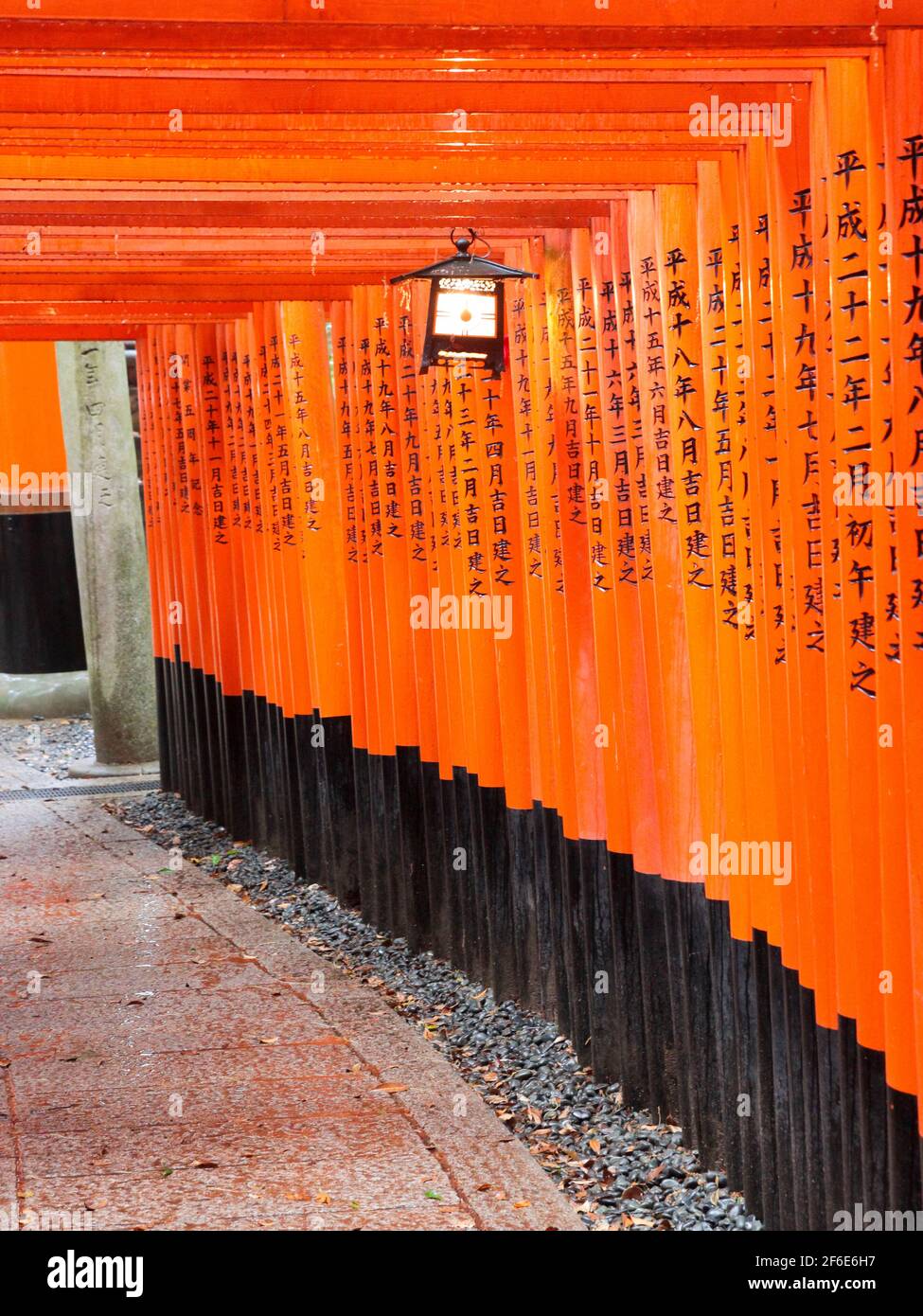A look through the tunnel of red wood torii gates with a hanging ...
