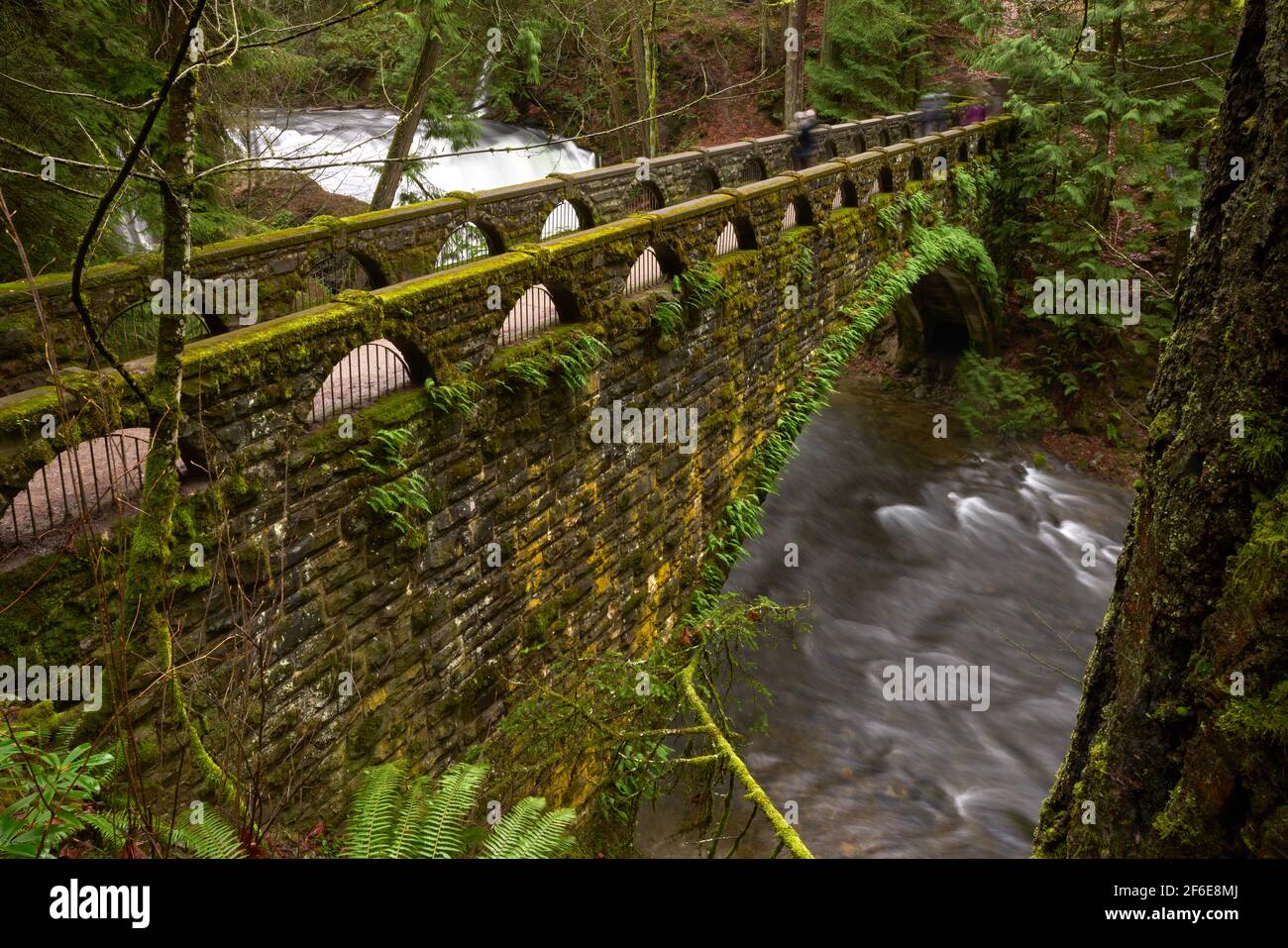 Historic Whatcom Falls Bridge Washington State. Whatcom Creek and the ...