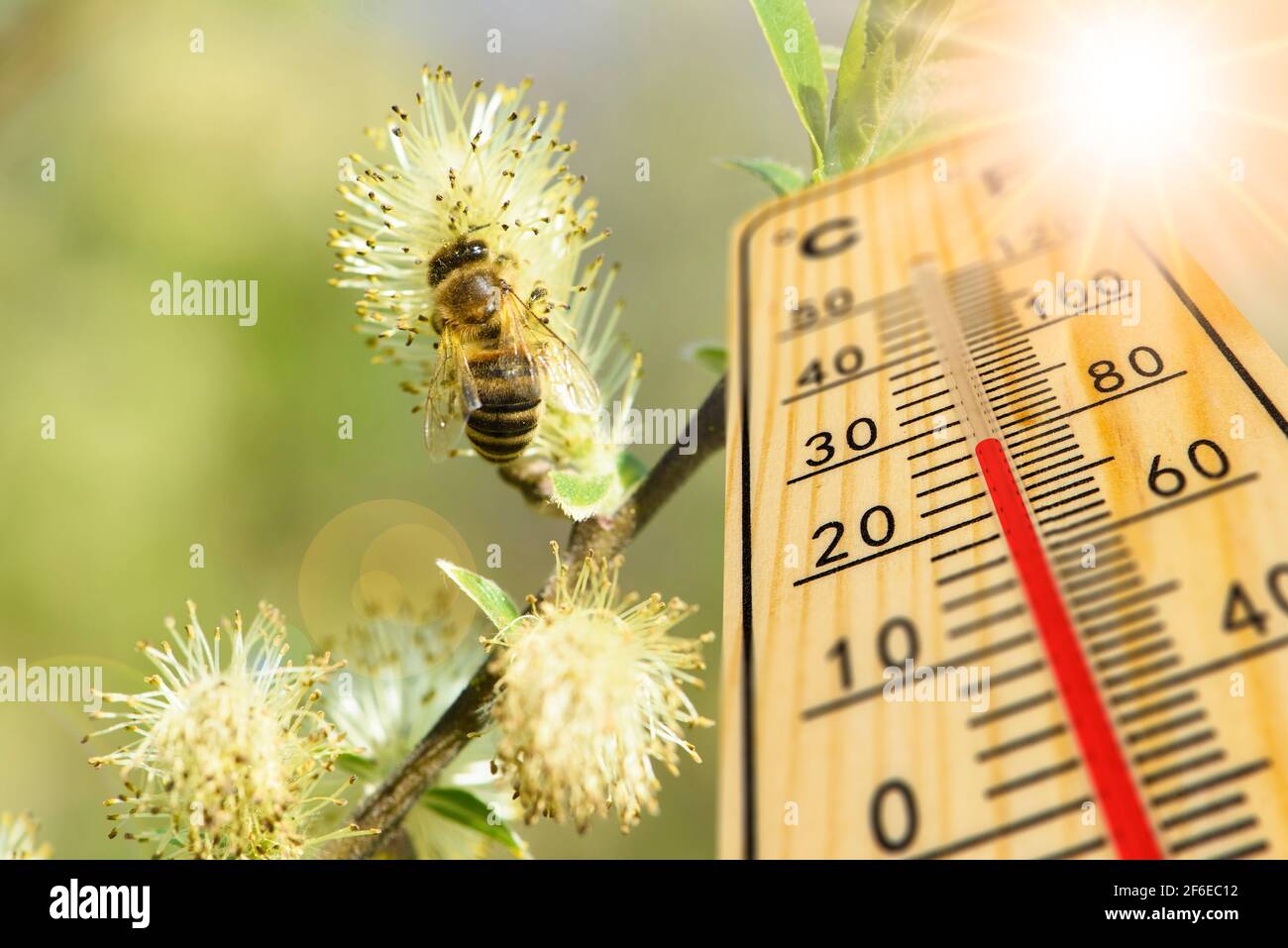 warm temperature on thermometer at springtime Stock Photo - Alamy