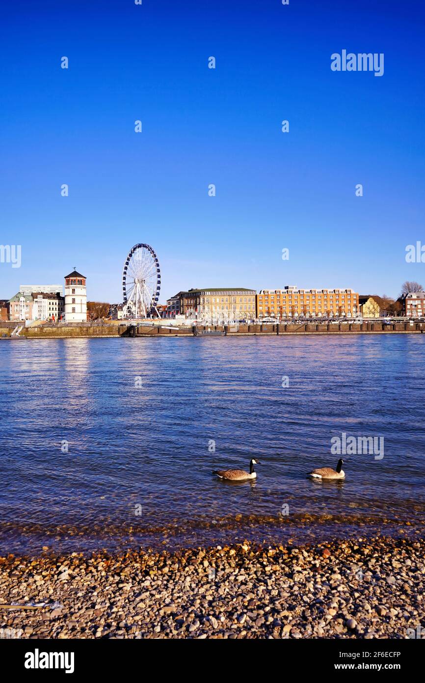 River rhine dusseldorf castle hi-res stock photography and images - Alamy