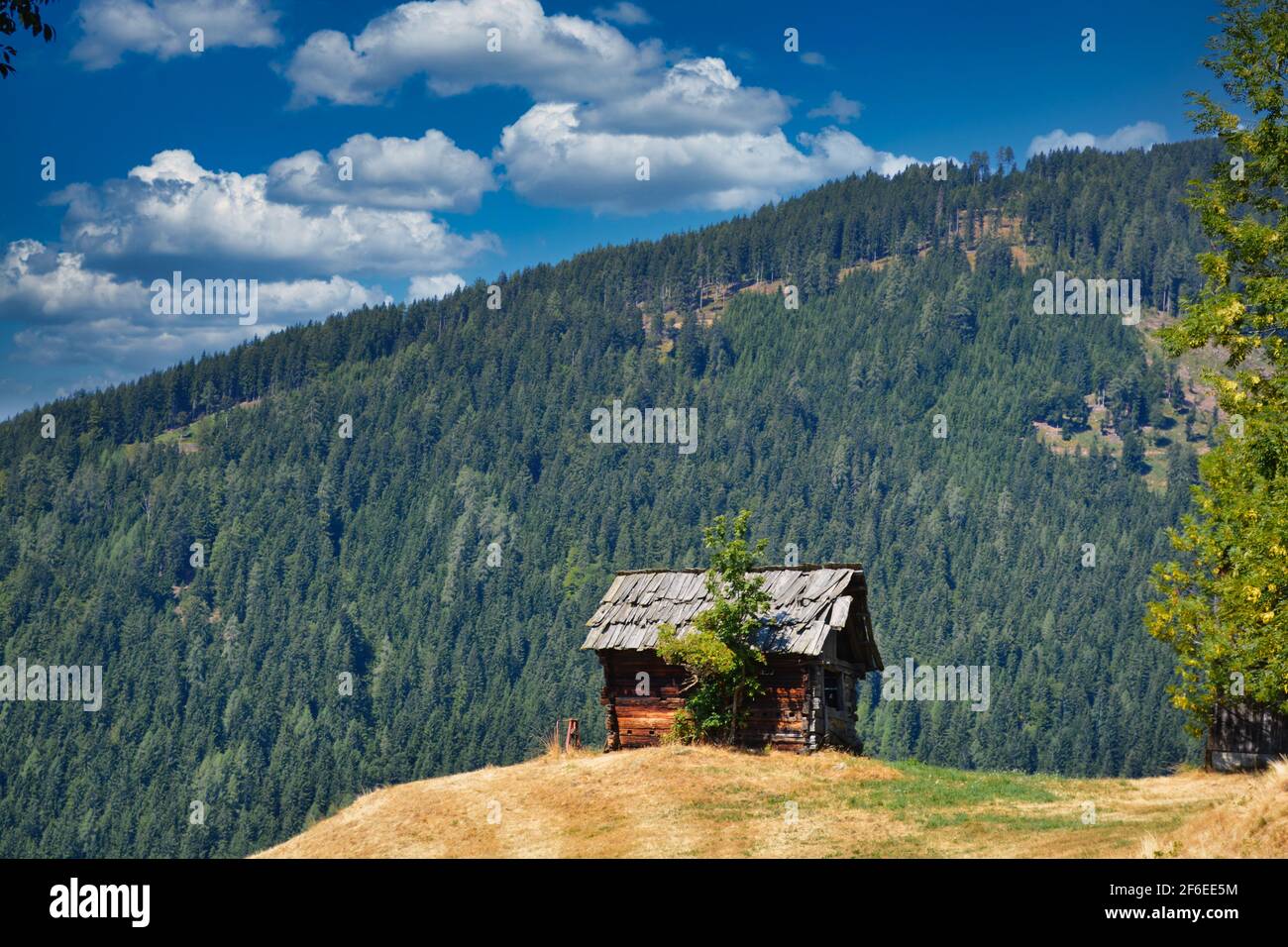 A traditional wooden hut in the carinthian alps Stock Photo - Alamy