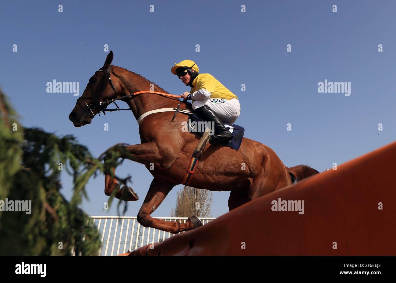 Quit tips hi-res stock photography and images - Alamy