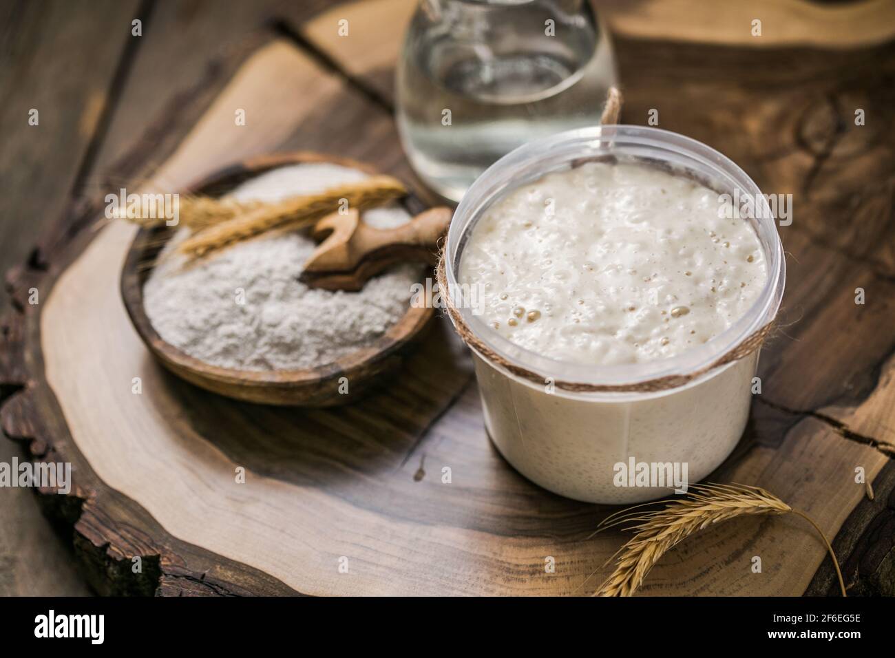 The leaven for bread is active. Starter sourdough ( fermented mixture ...