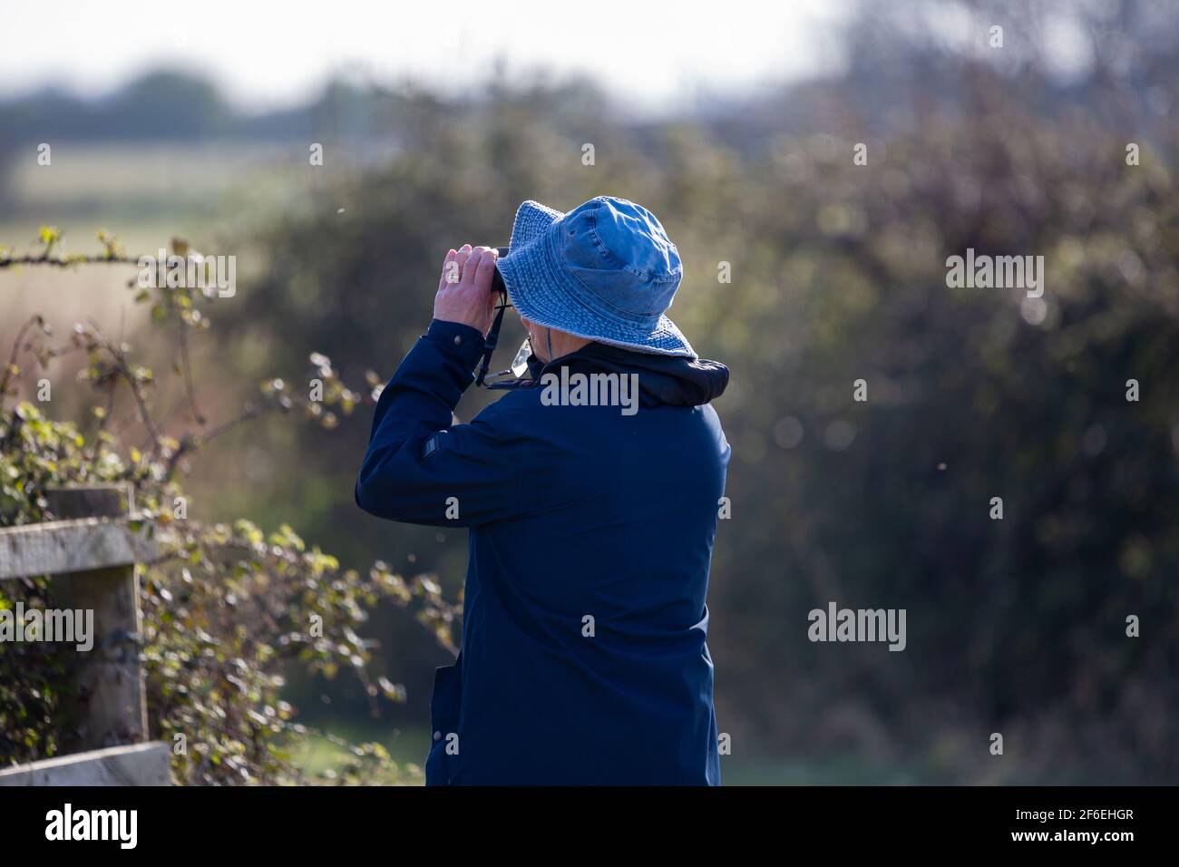 A Female birdwatcher using binoculars for birdwatching at a nature ...