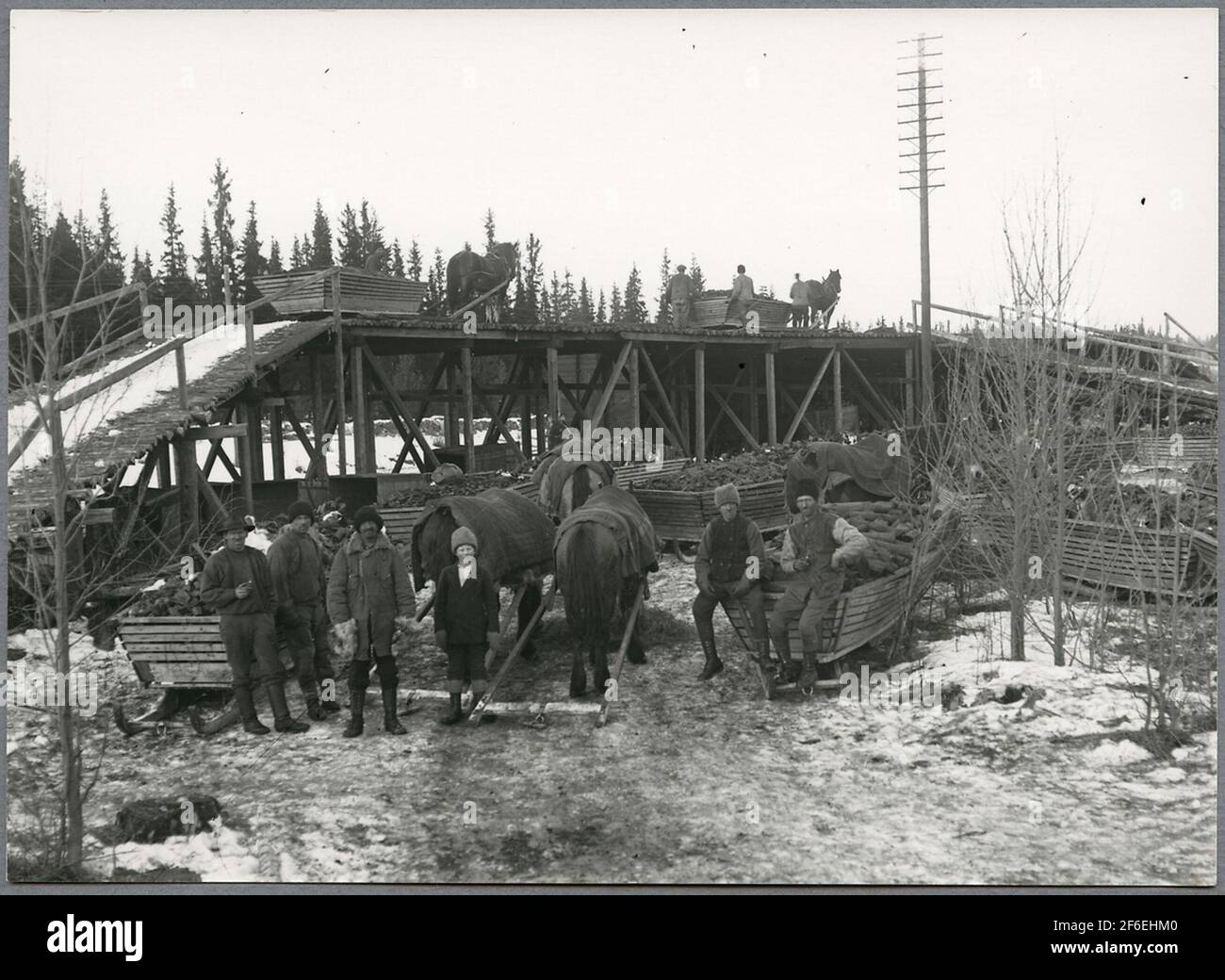 Rackers hi-res stock photography and images - Alamy