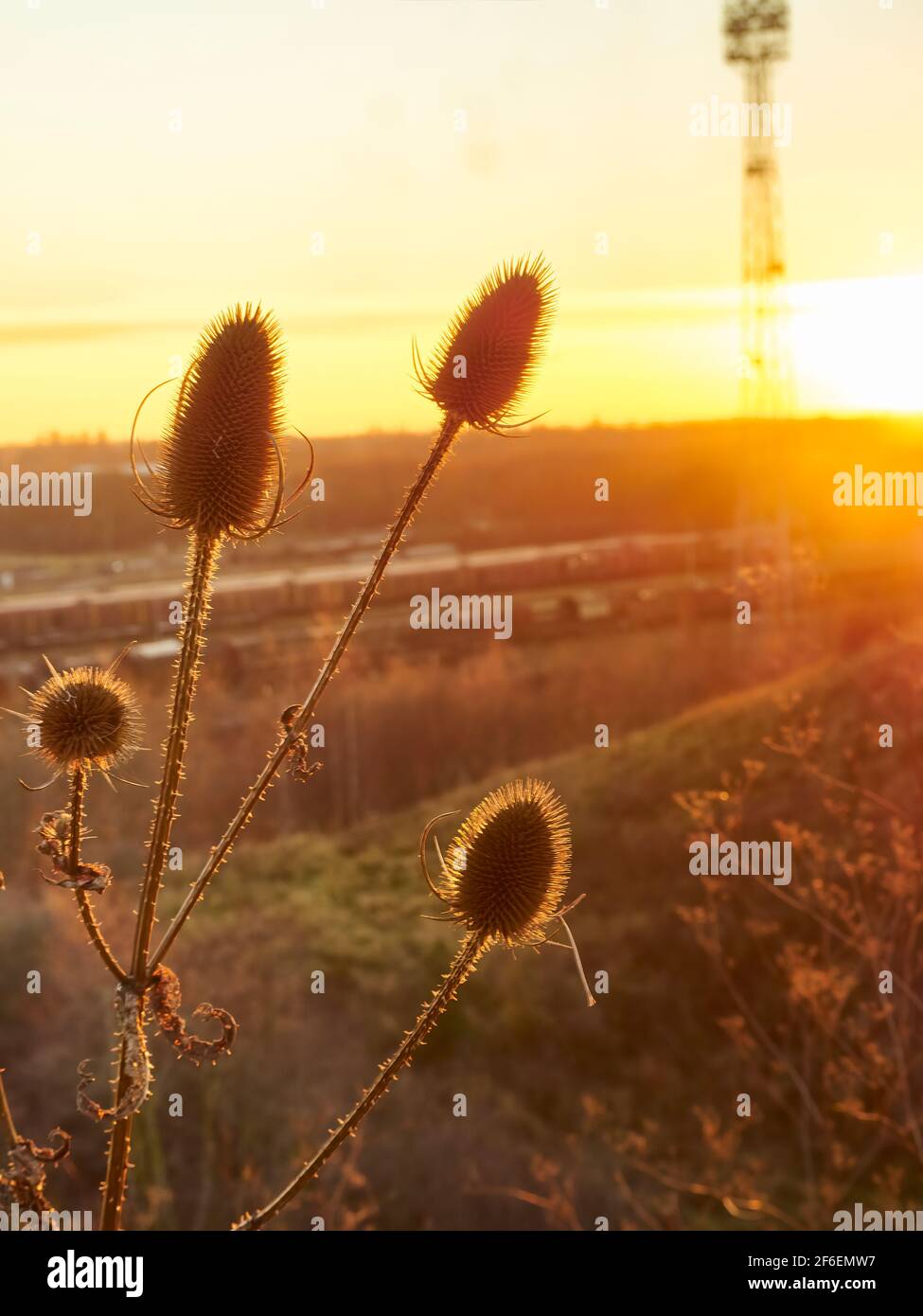 Jagged key hi-res stock photography and images - Alamy