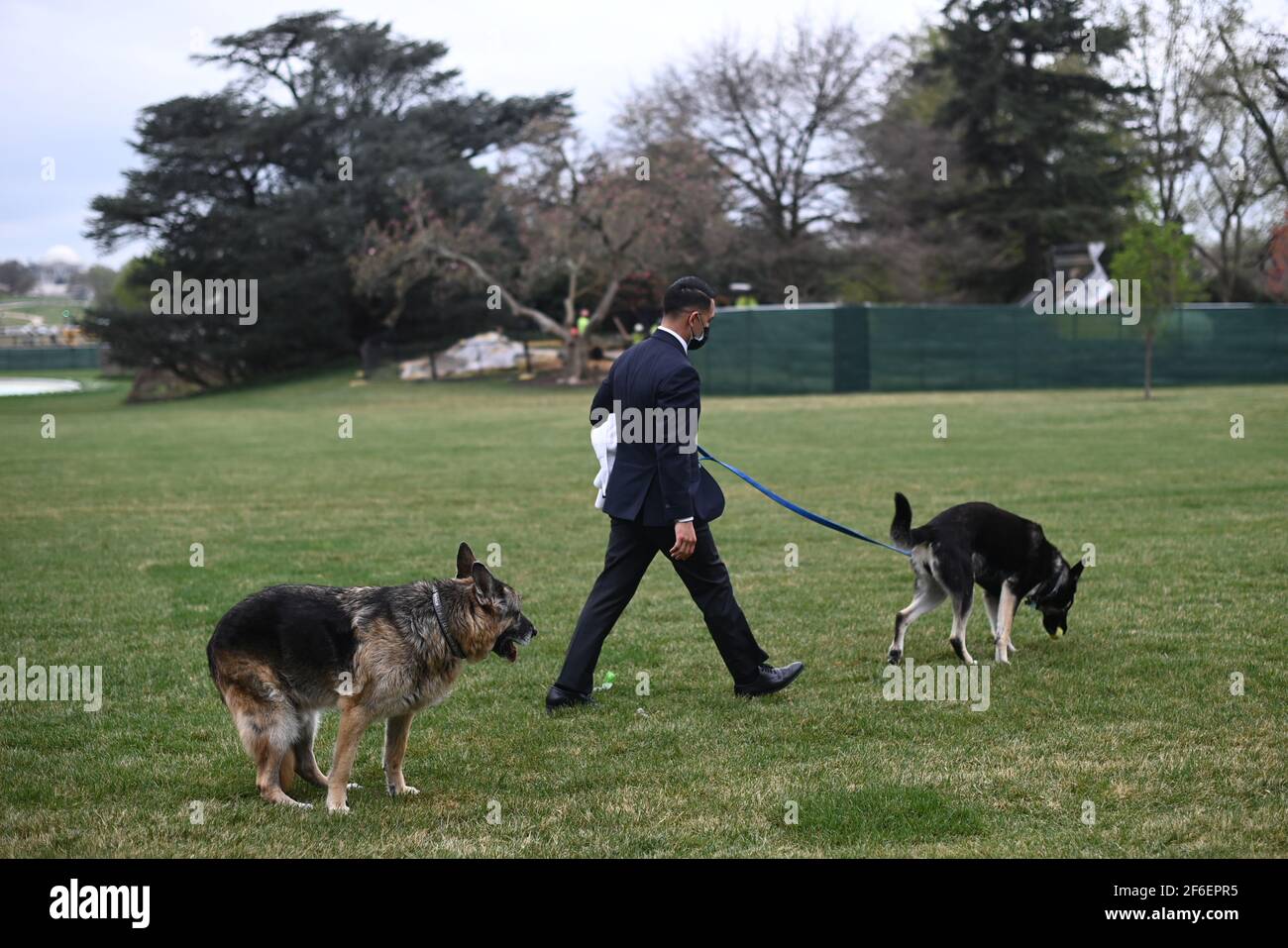 Champ and major hi-res stock photography and images - Alamy