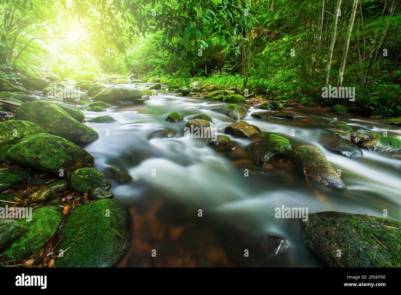 Landscape of pure cascade in a tropical rainforest at sunrise, lush ...