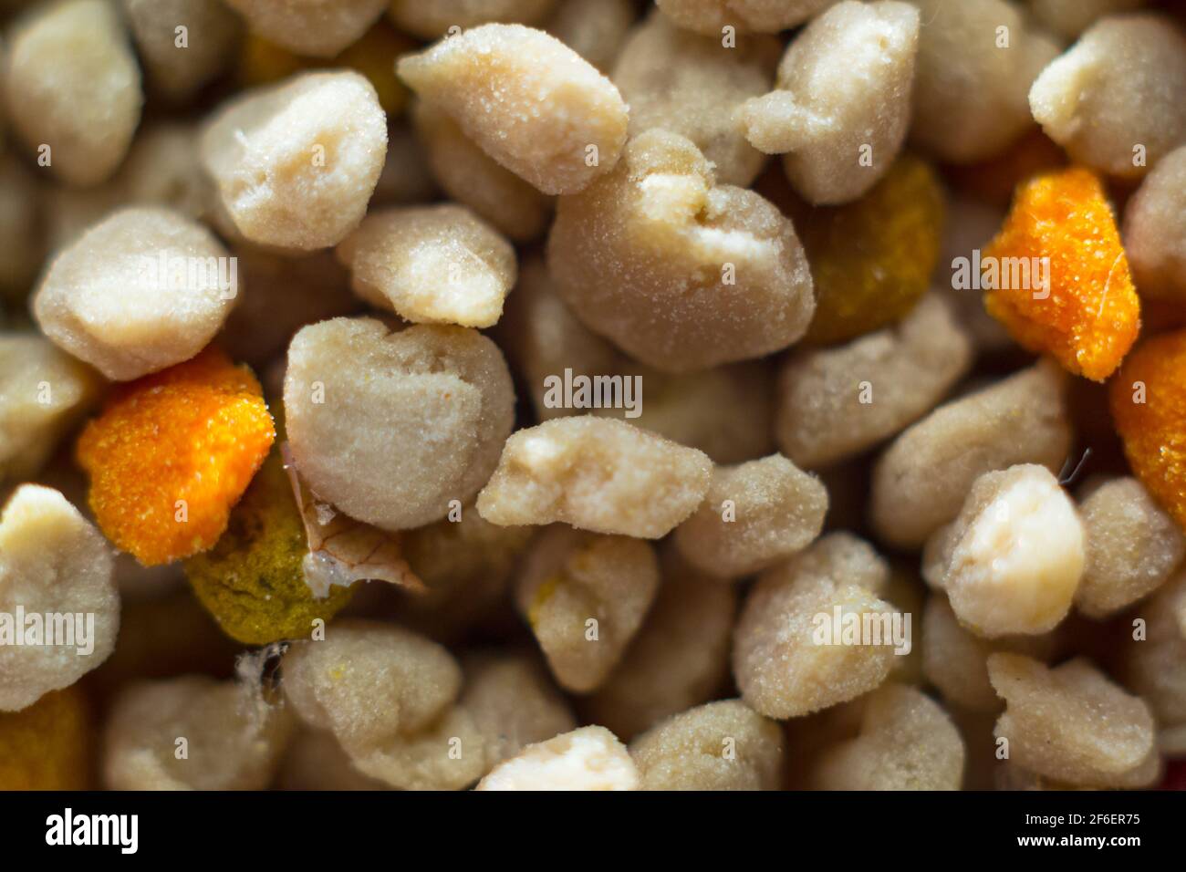 macro photo of pollen grains Stock Photo - Alamy