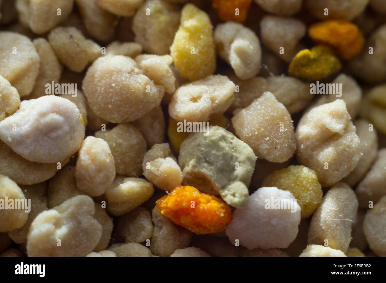 macro photo of pollen grains Stock Photo - Alamy