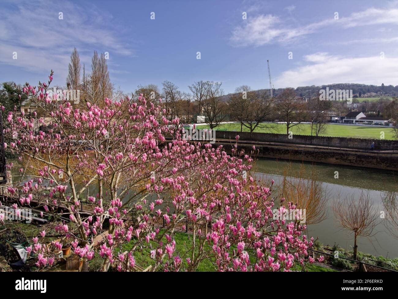 Spring in Bath Stock Photo - Alamy