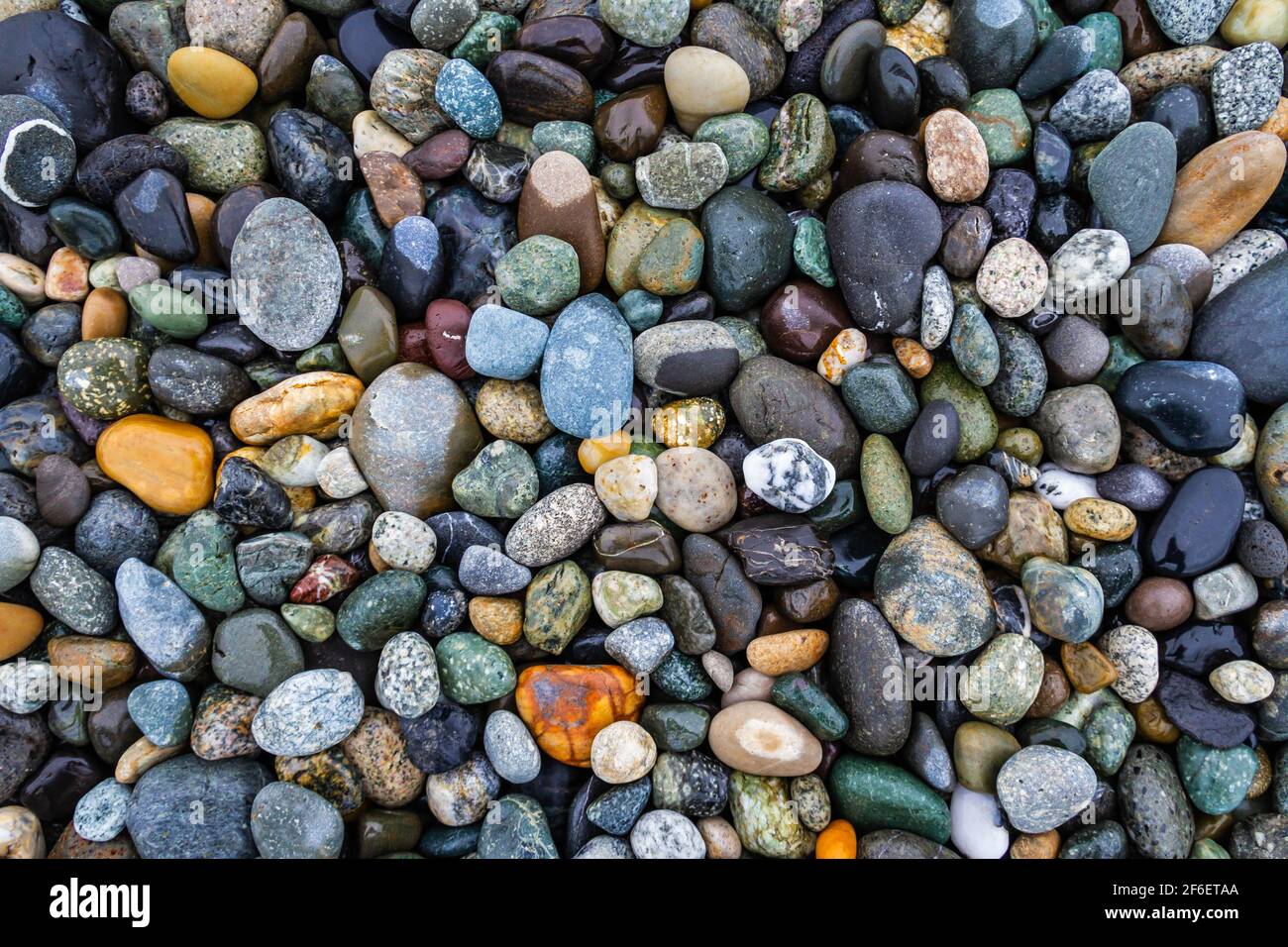 Colorful smooth rocks on the beach covered in water Stock Photo - Alamy