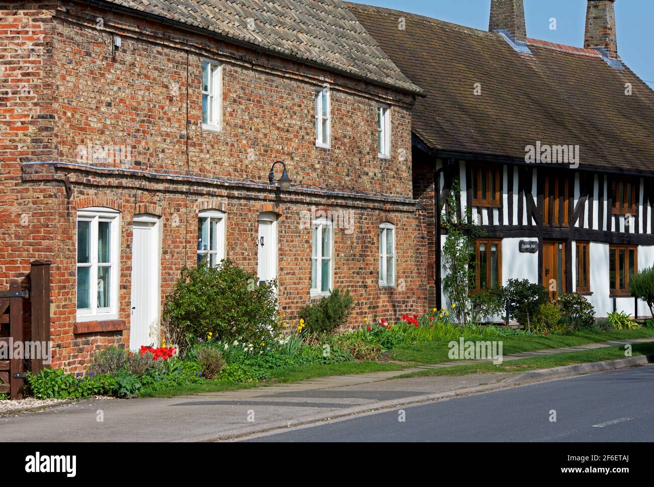 Wheldrake hi-res stock photography and images - Alamy