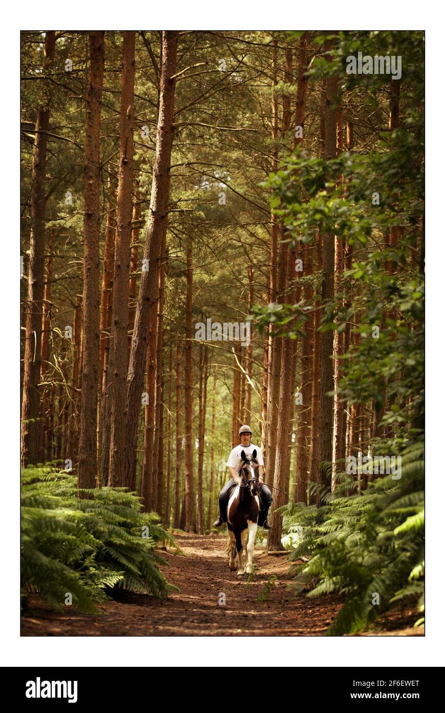 Blackheath common where the Duke of Northumberland wants to install a ...