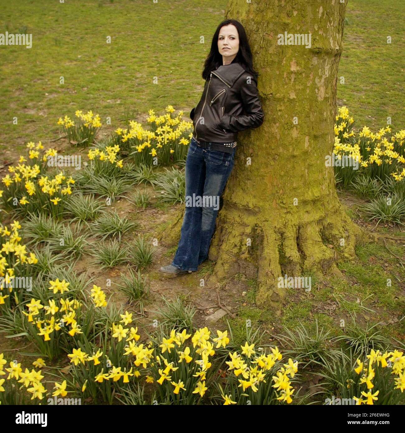 Delores O'Riordan.... singer pic David Sandison 23/3/2007 Stock Photo ...