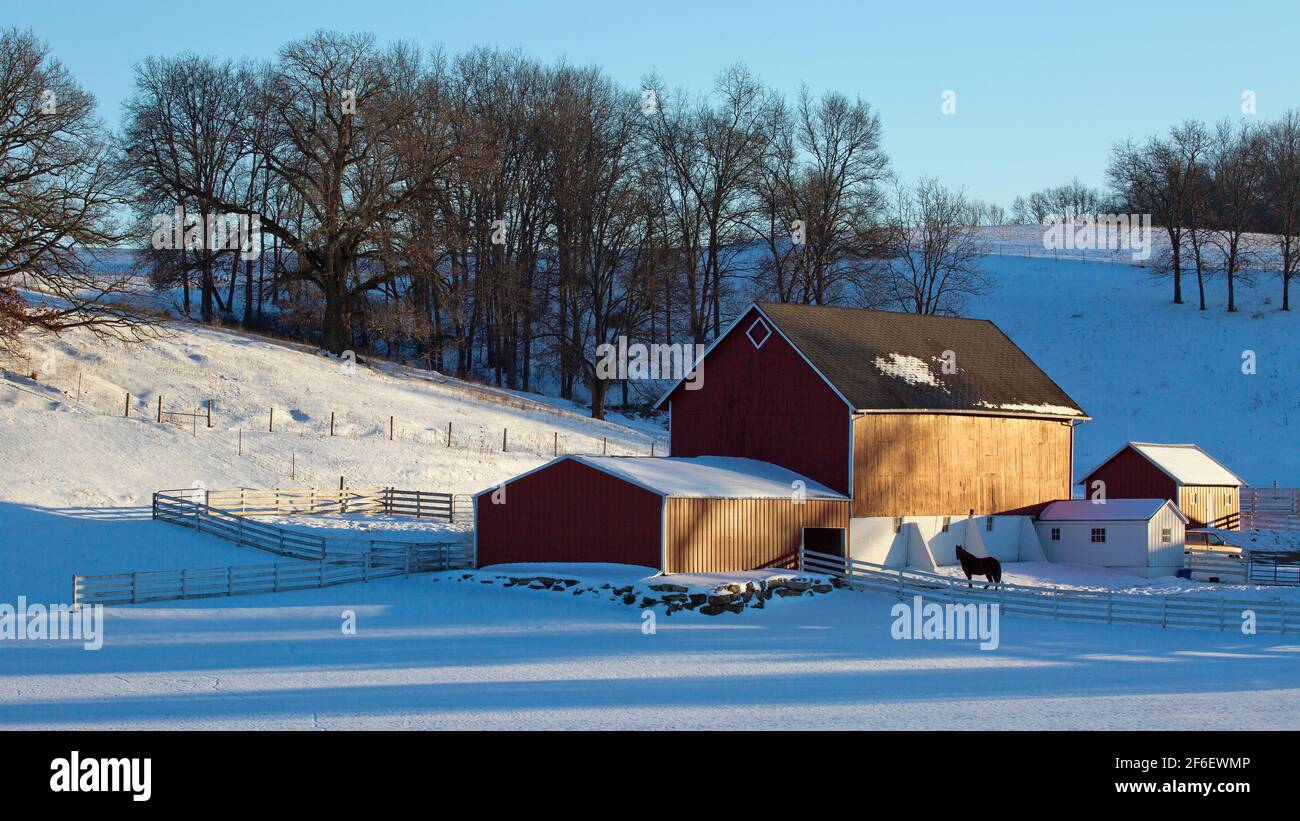 Wi dairy farm hi-res stock photography and images - Alamy
