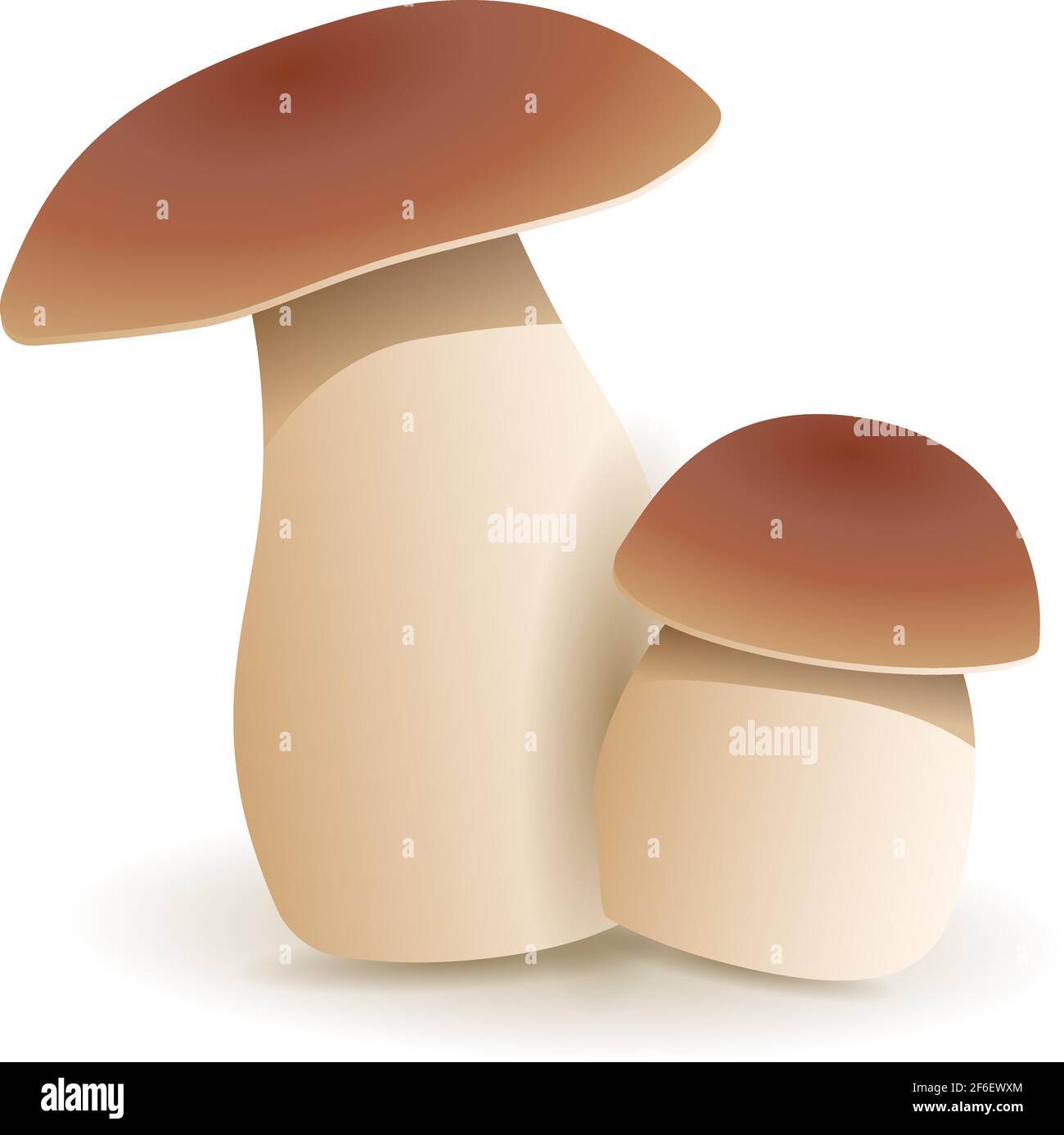 Colorful close up two Stock Vector Images - Alamy